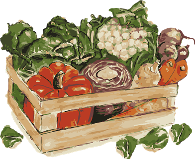 Our Organic Products | Bridgefoot Organic - Aberdeenshire, United ...