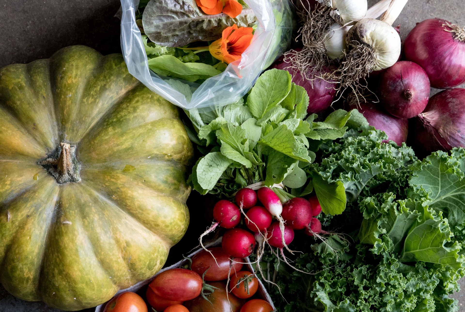 Shop local food | Sitopia Farm - London