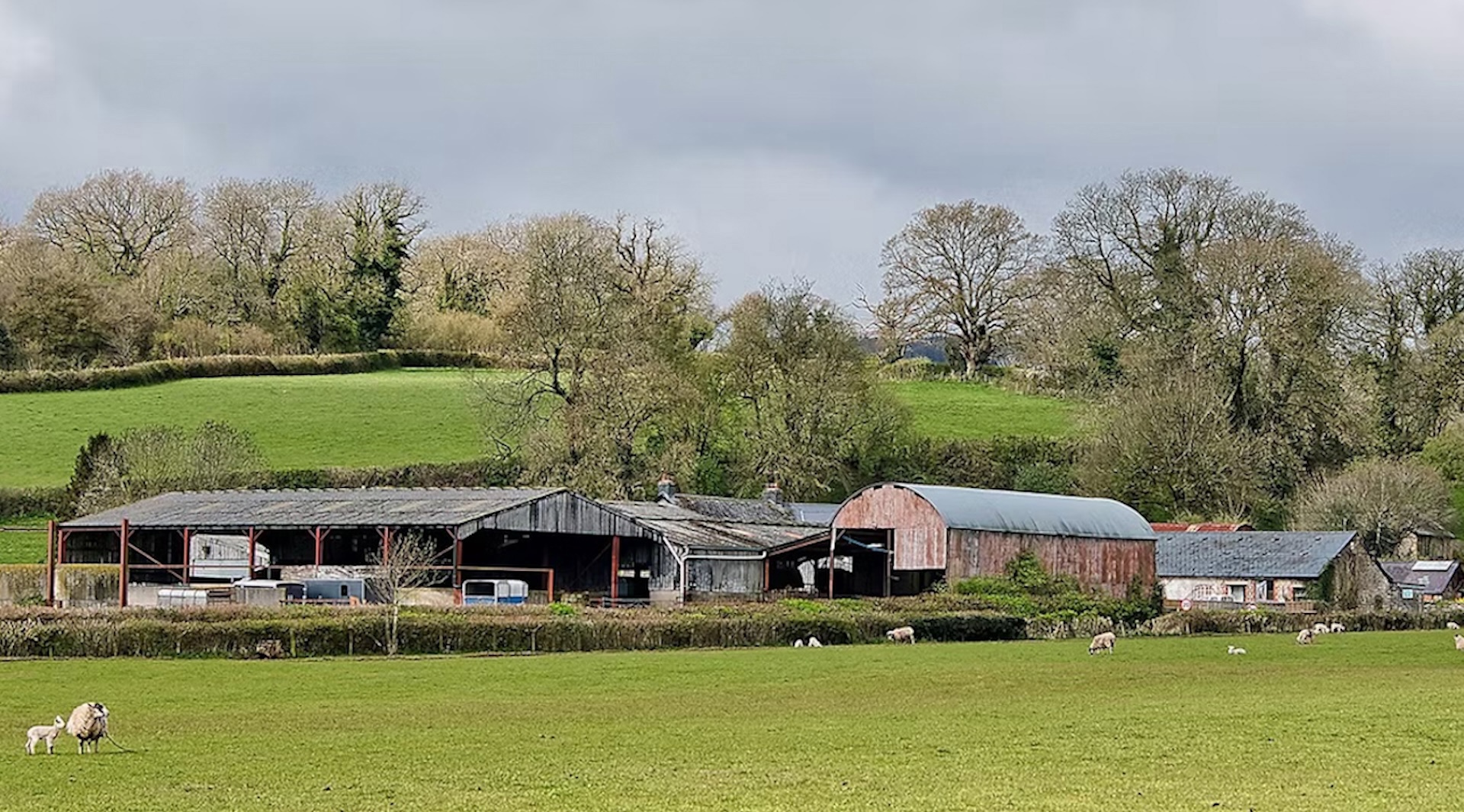 Shop local food | Lower House Farm Wales