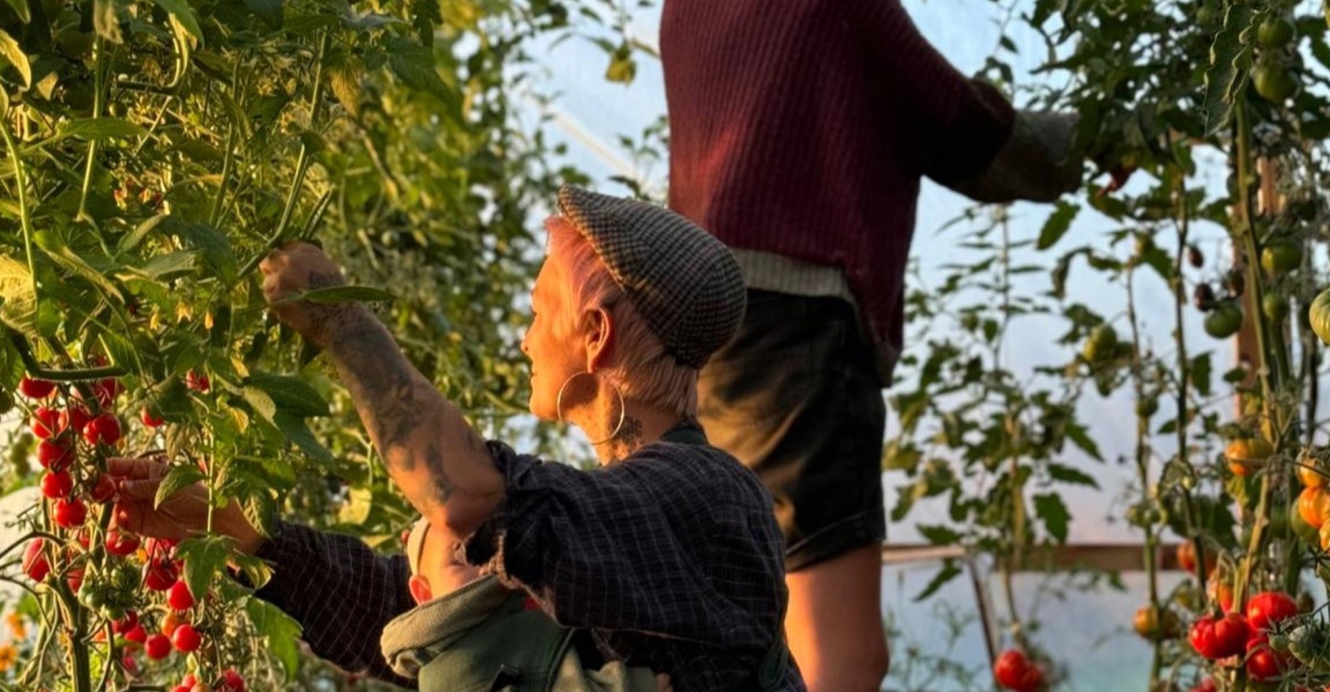 Shop local food | offgridorganics - somerset