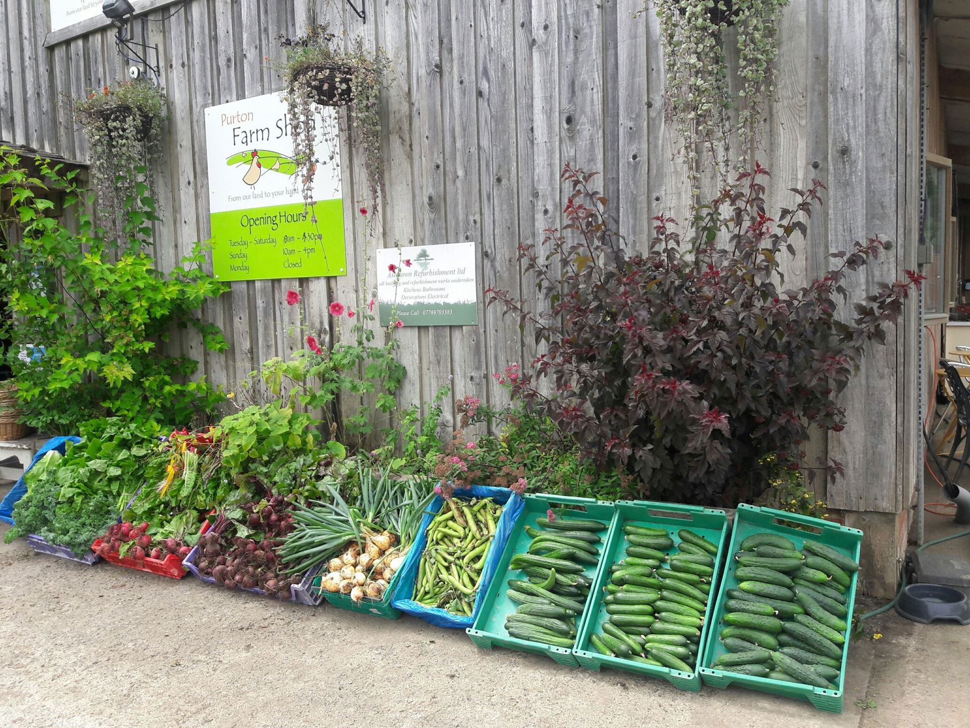 Shop our Fresh Produce | Purton House Organics - Swindon