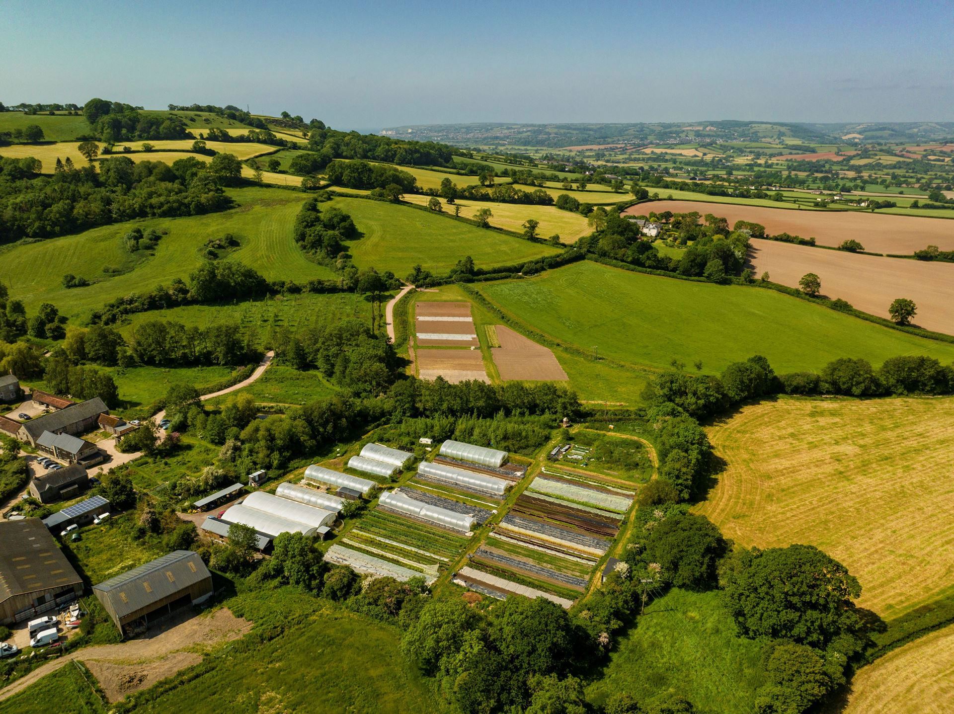 Shop our Vegetables and Salad add-ons | Trill Farm Garden - East Devon