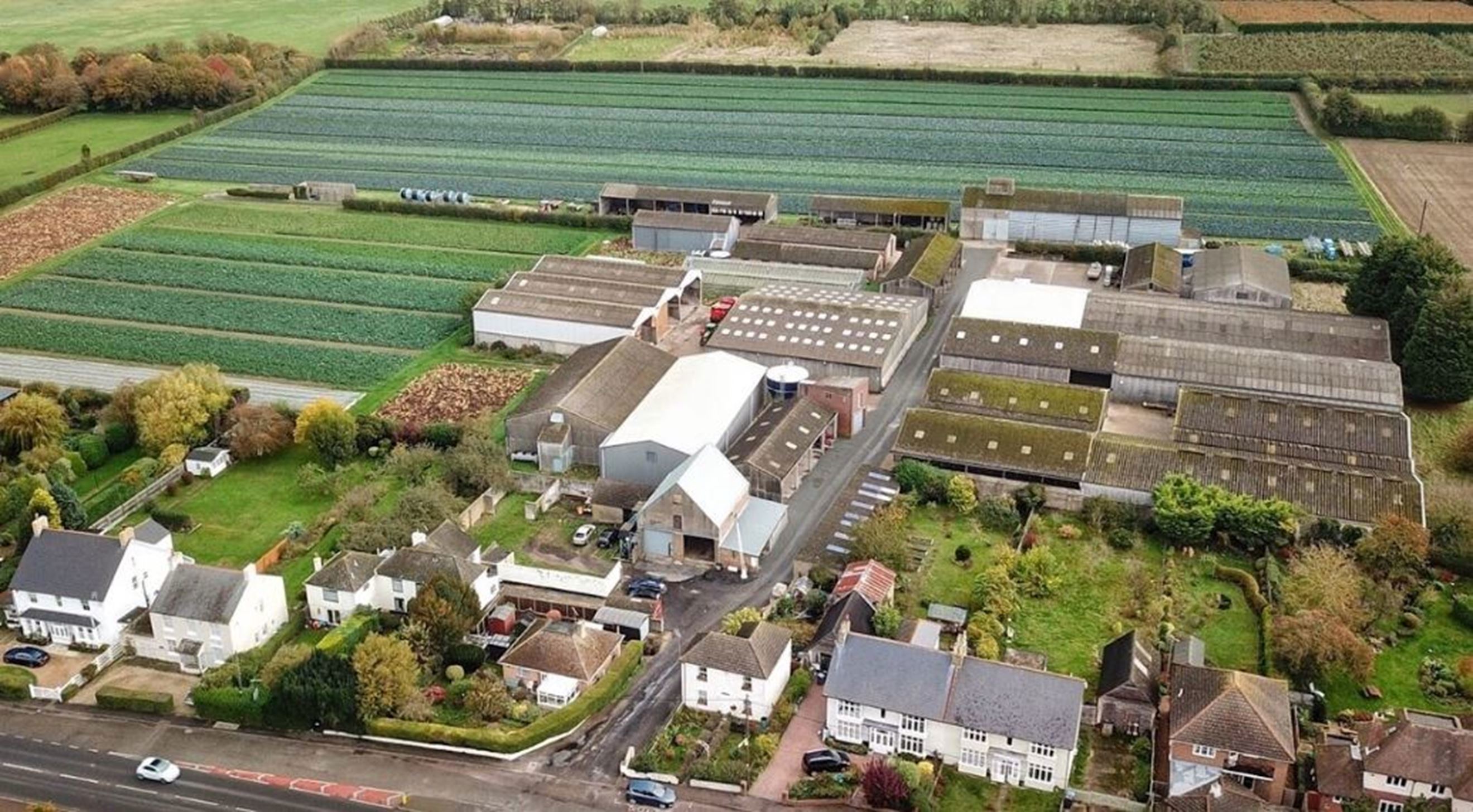 C J Bean & Sons | Grower | United Kingdom