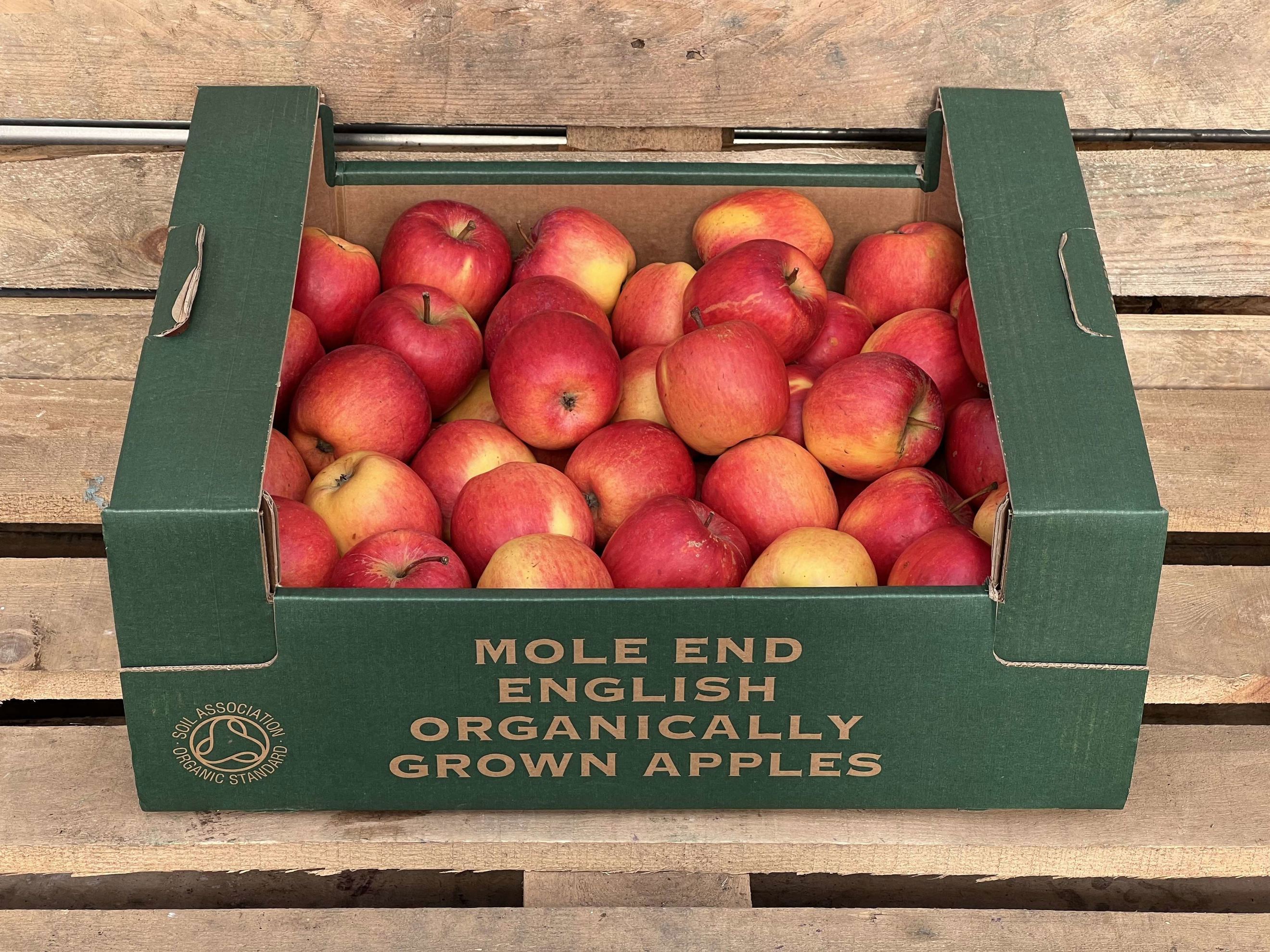Mole End | Grower | United Kingdom
