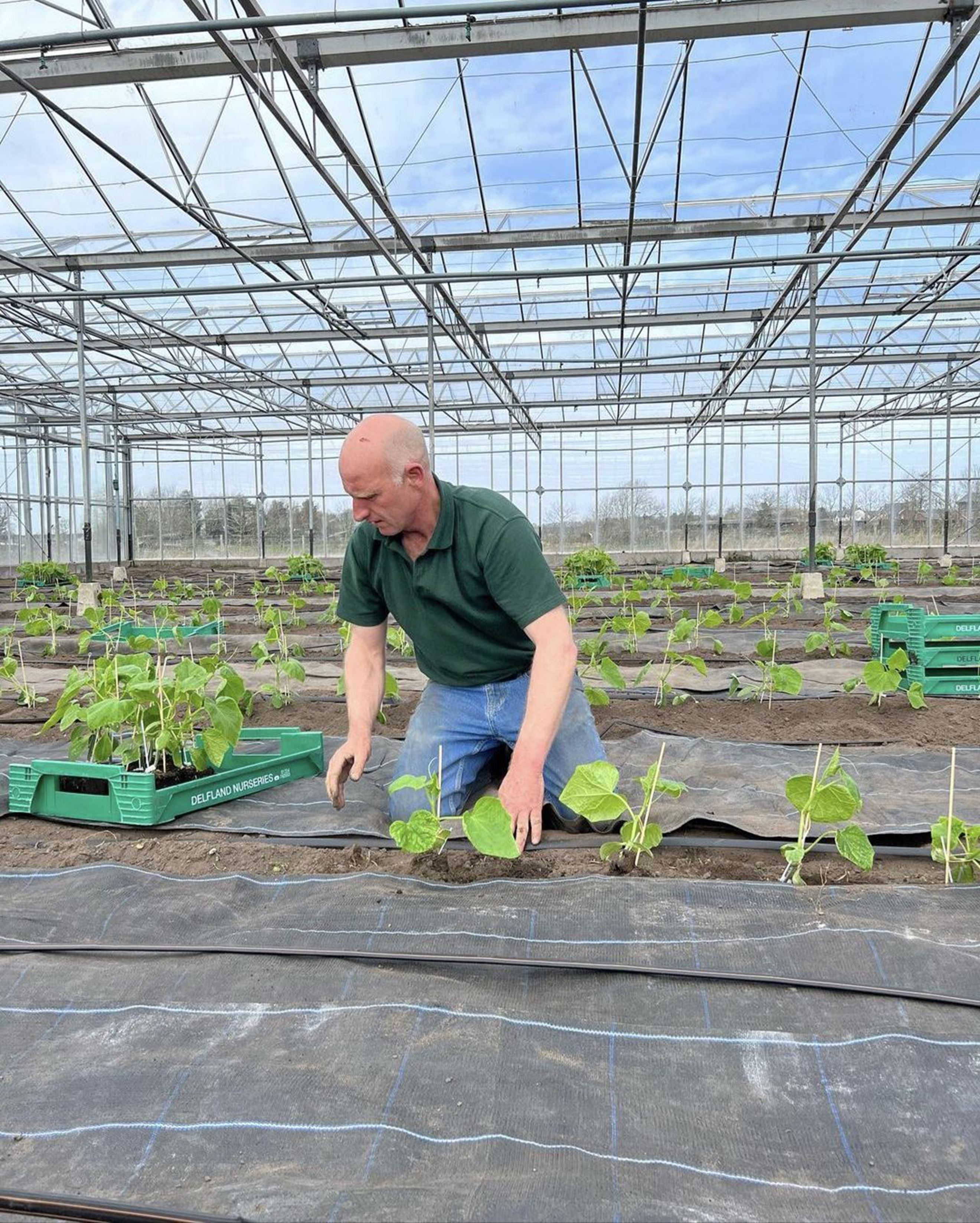 Lyncroft Farm | Grower | United Kingdom