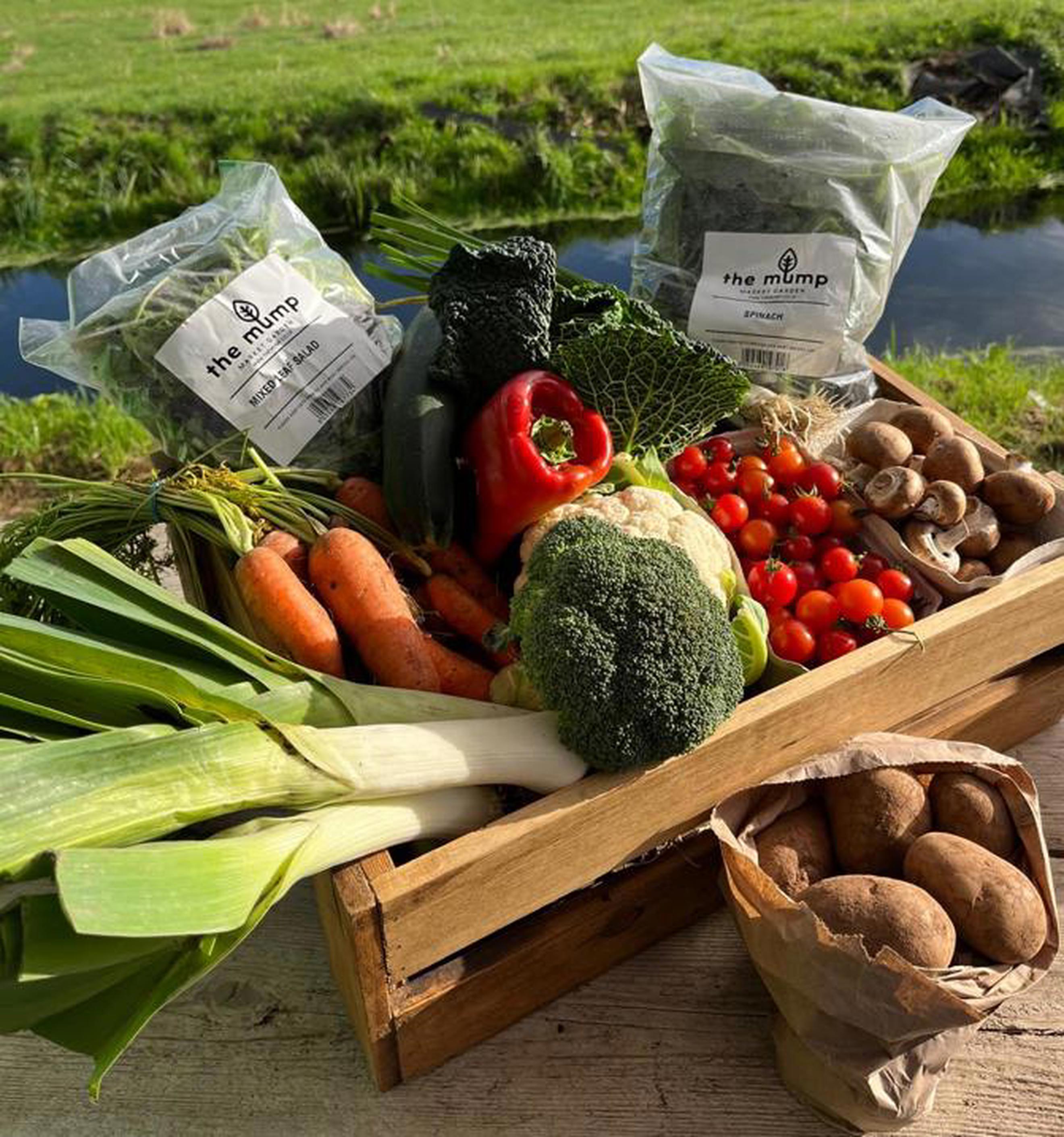 Small Veg Box | The Mump Market Garden · Burrowbridge