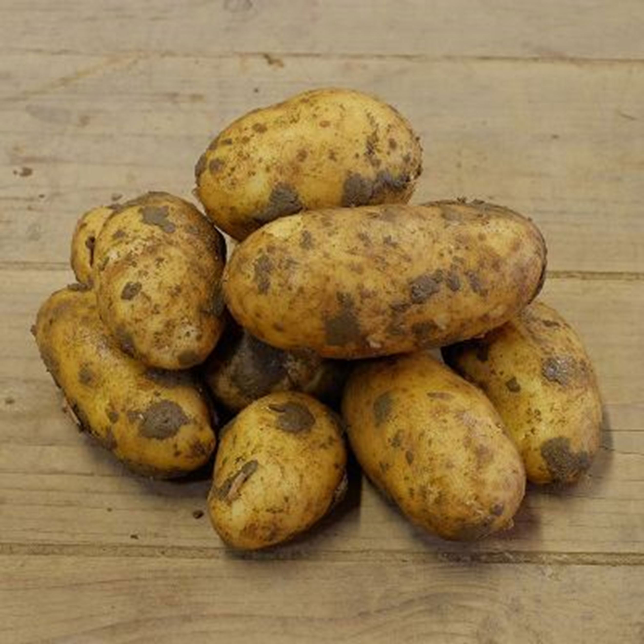 Potatoes-Cara | Sarah Green's Organics | Sarah Green's Organics