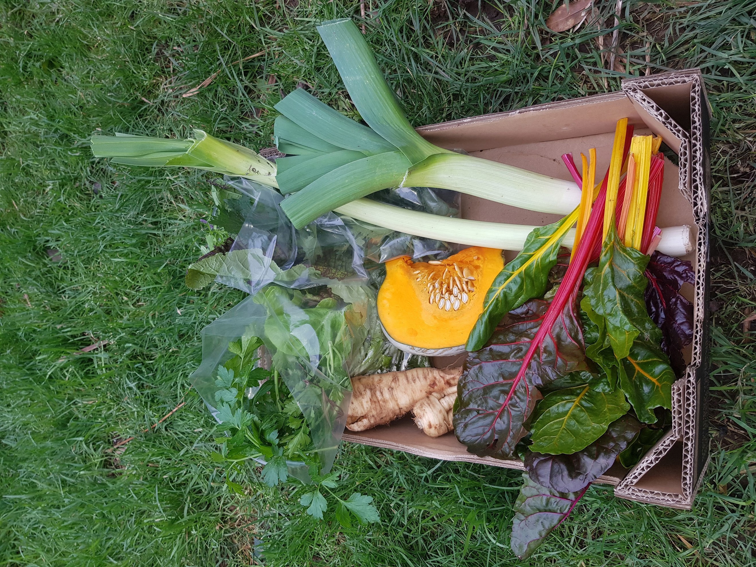 Weekly Veg Boxes | Food Box | Brickhouse Garden
