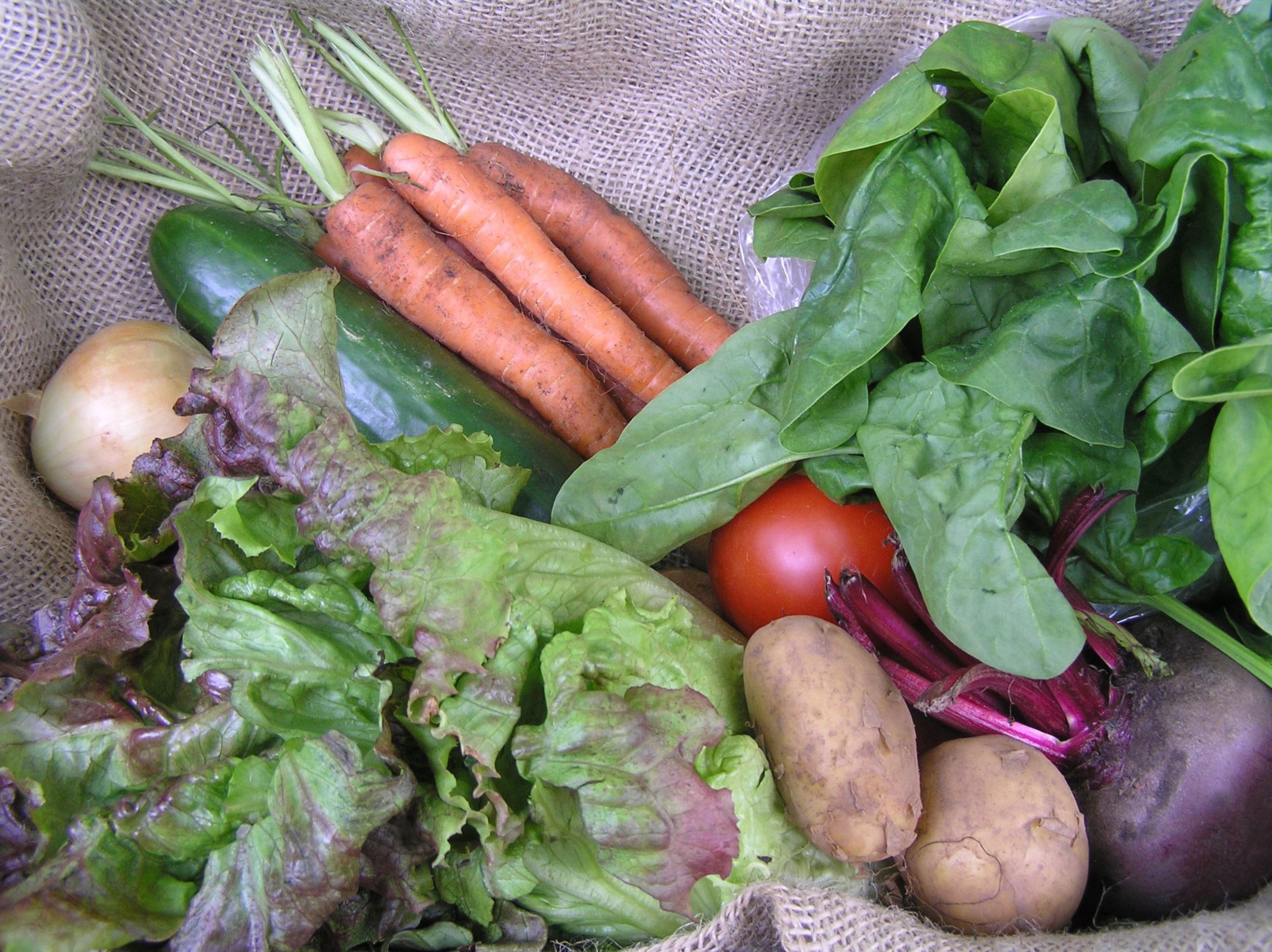 Organic Veg Boxes | Organic Food Box | North Aston Organics