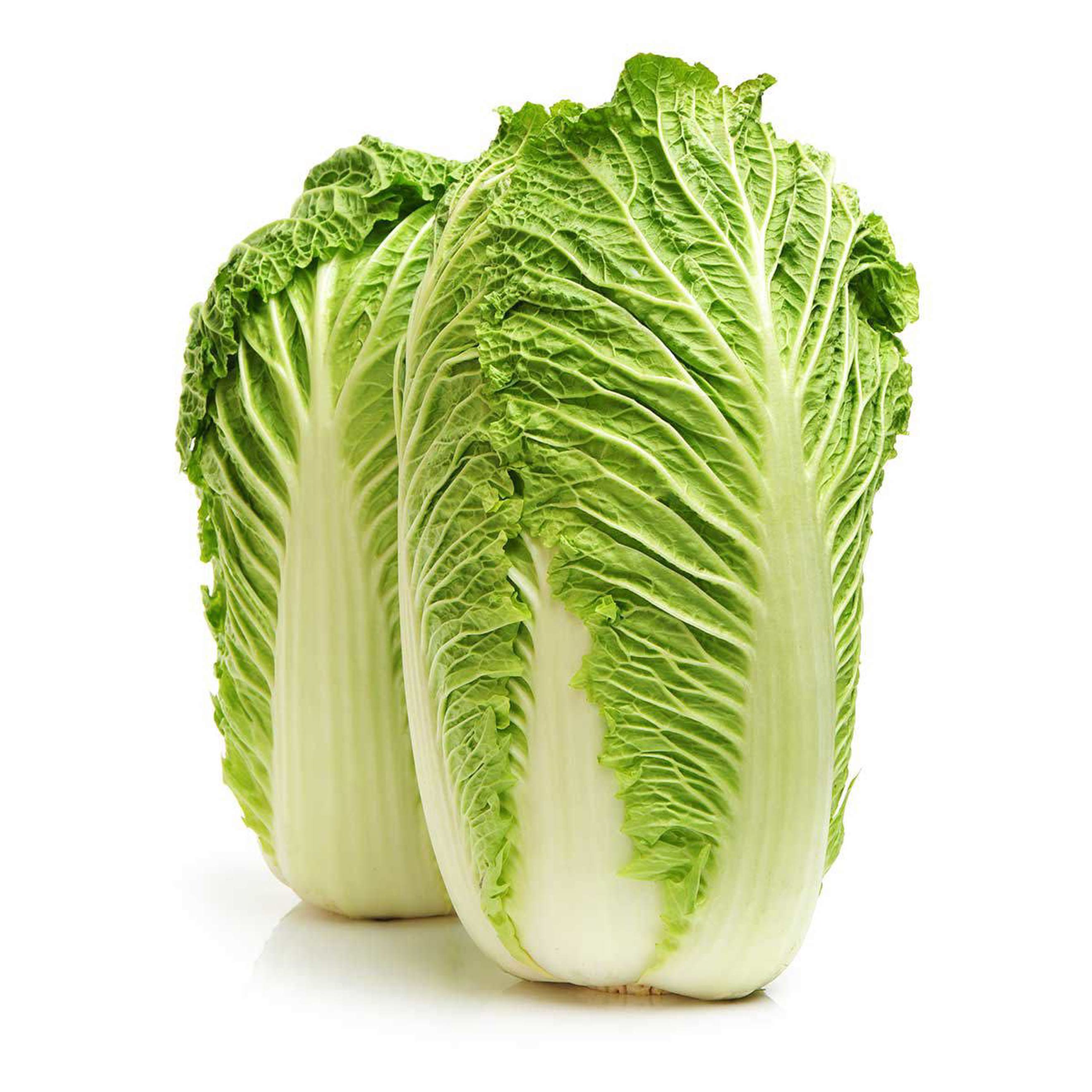 Cabbage Chinese Organic (1pc) | Cork Rooftop Farm - Cork