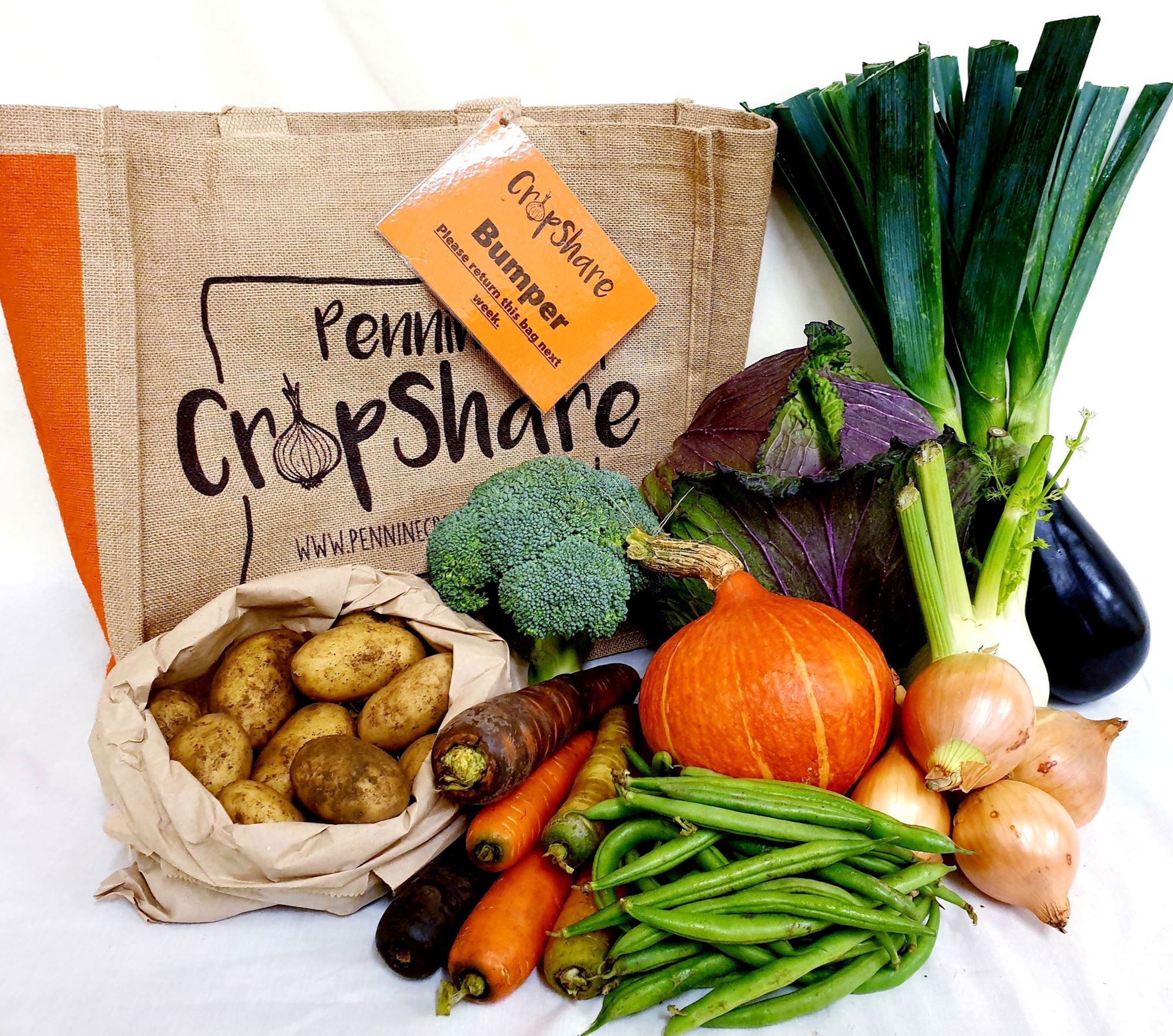 Bumper Veg Bag | Food Box | Pennine Cropshare