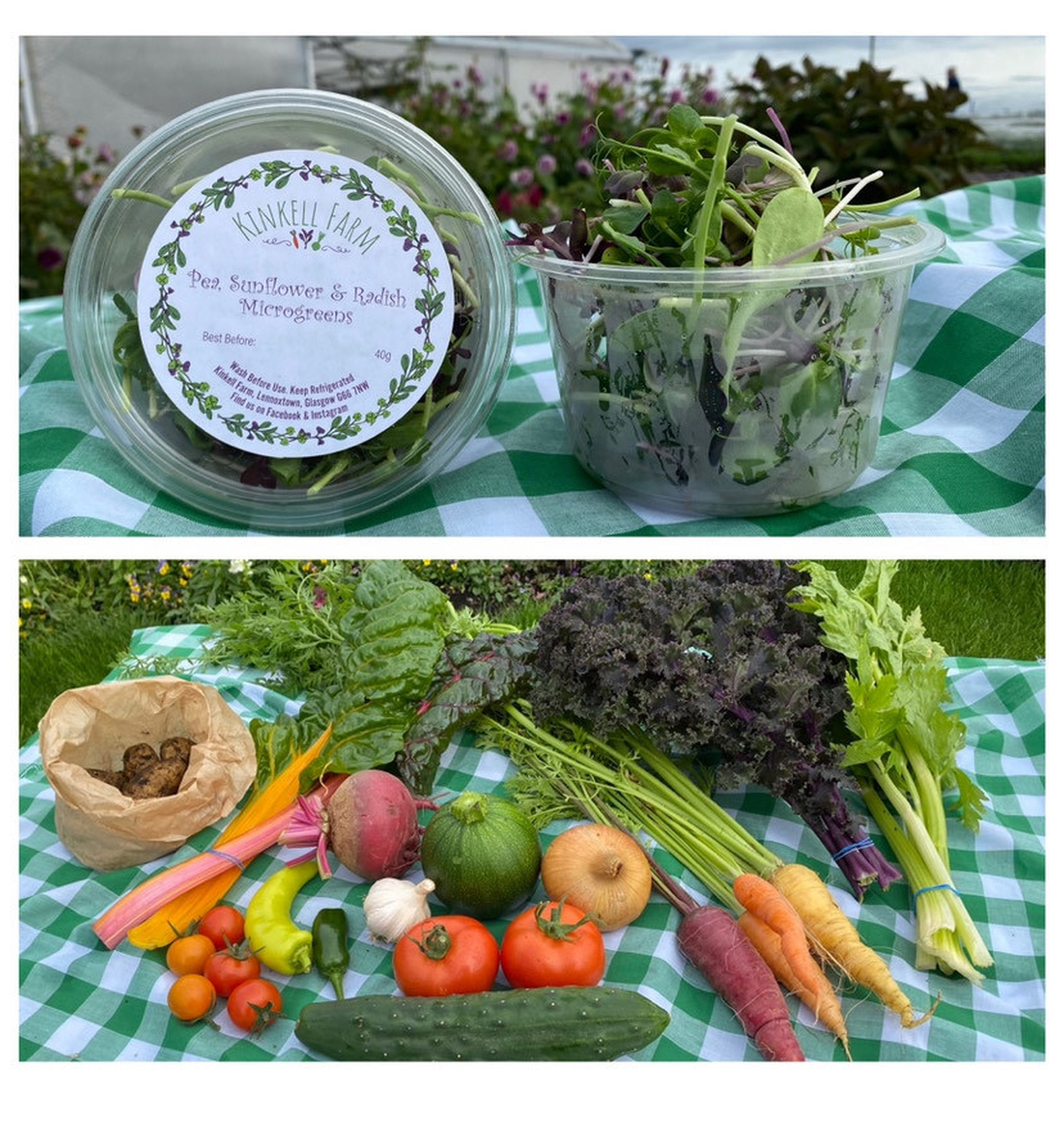 Create your own Microgreen & Veggie Box | Kinkell Farm - Glasgow