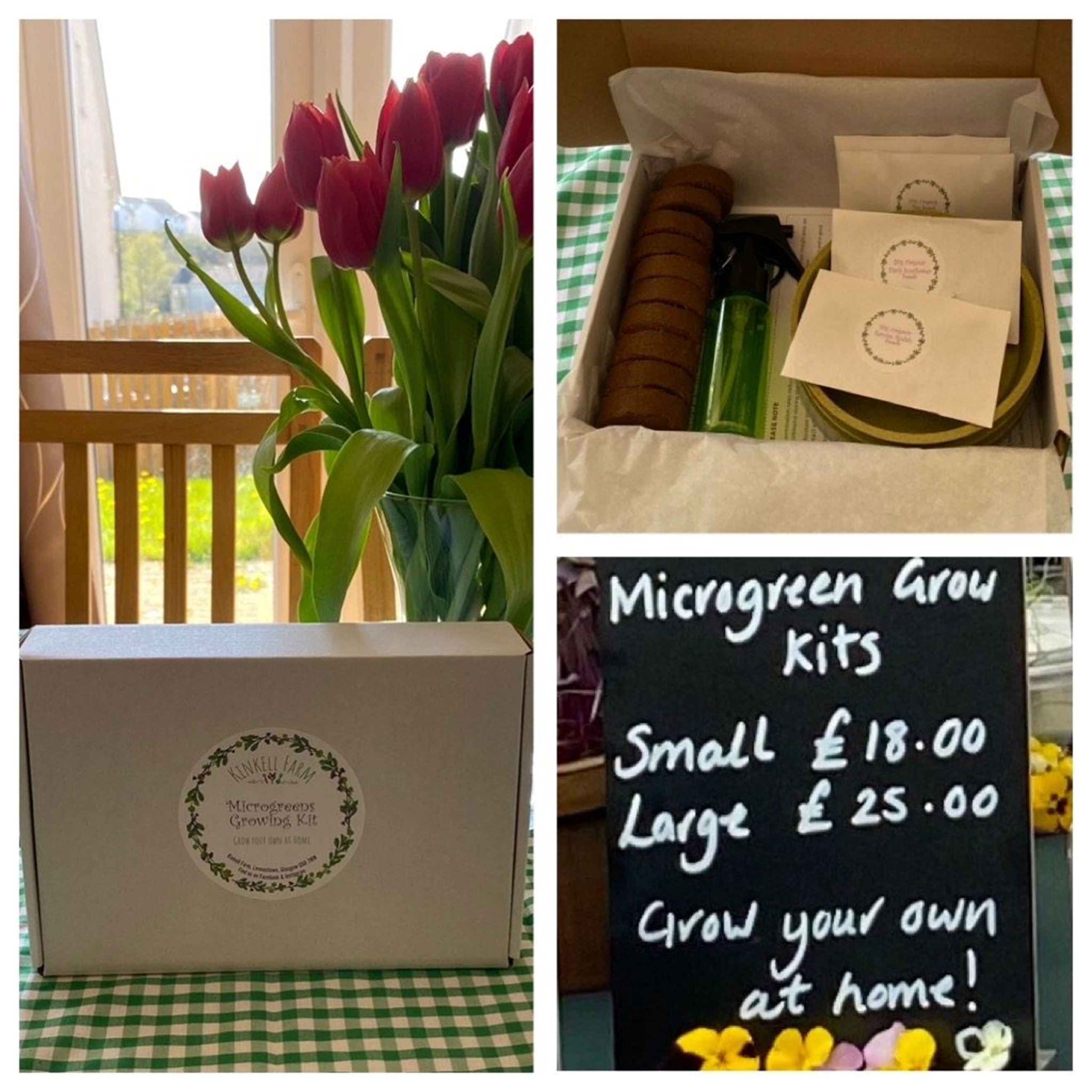 1 x Large Microgreen Growing Kit | Kinkell Farm - Glasgow | Kinkell Farm
