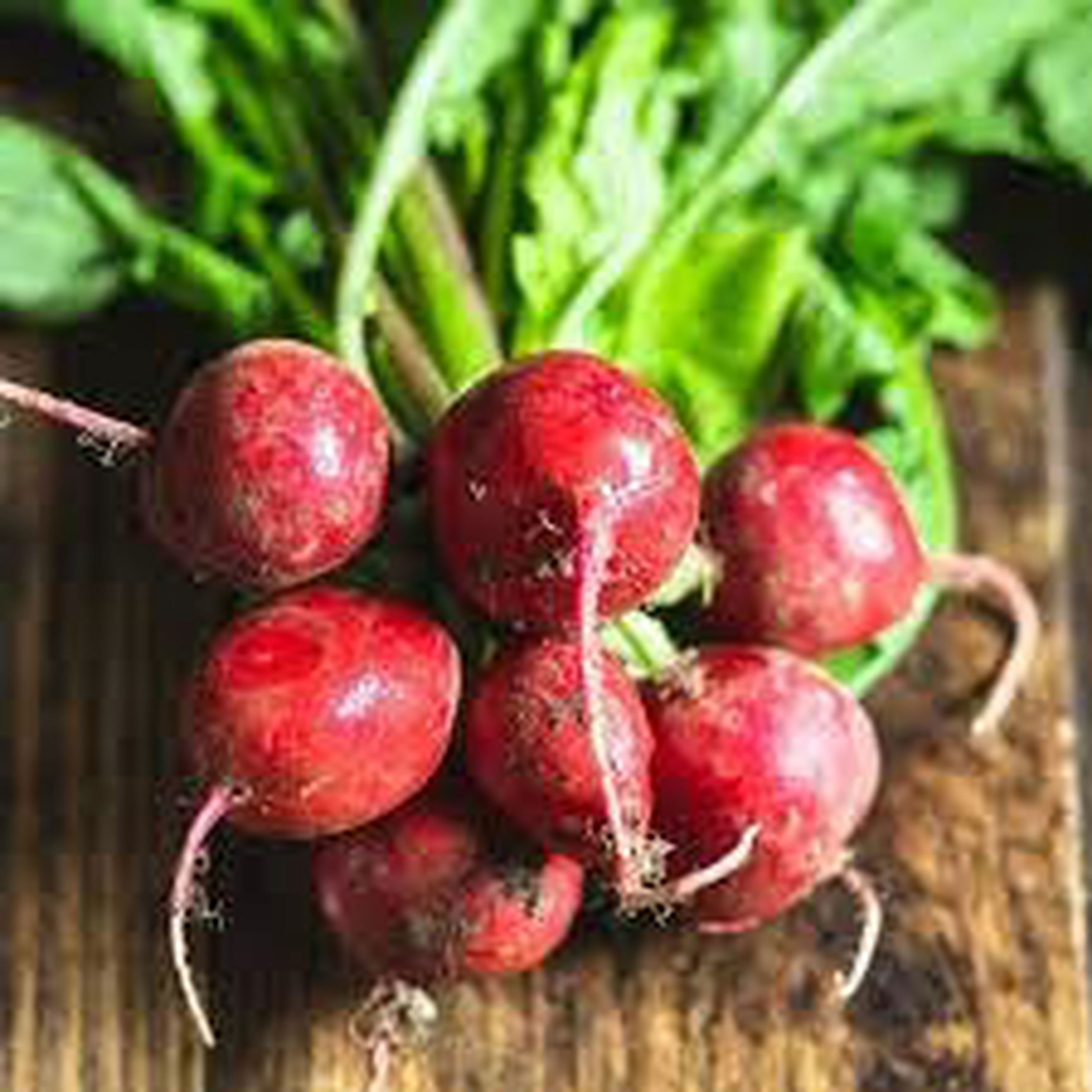 Radish Bunch Organic | Shillingford Organics - Exeter | Shillingford ...