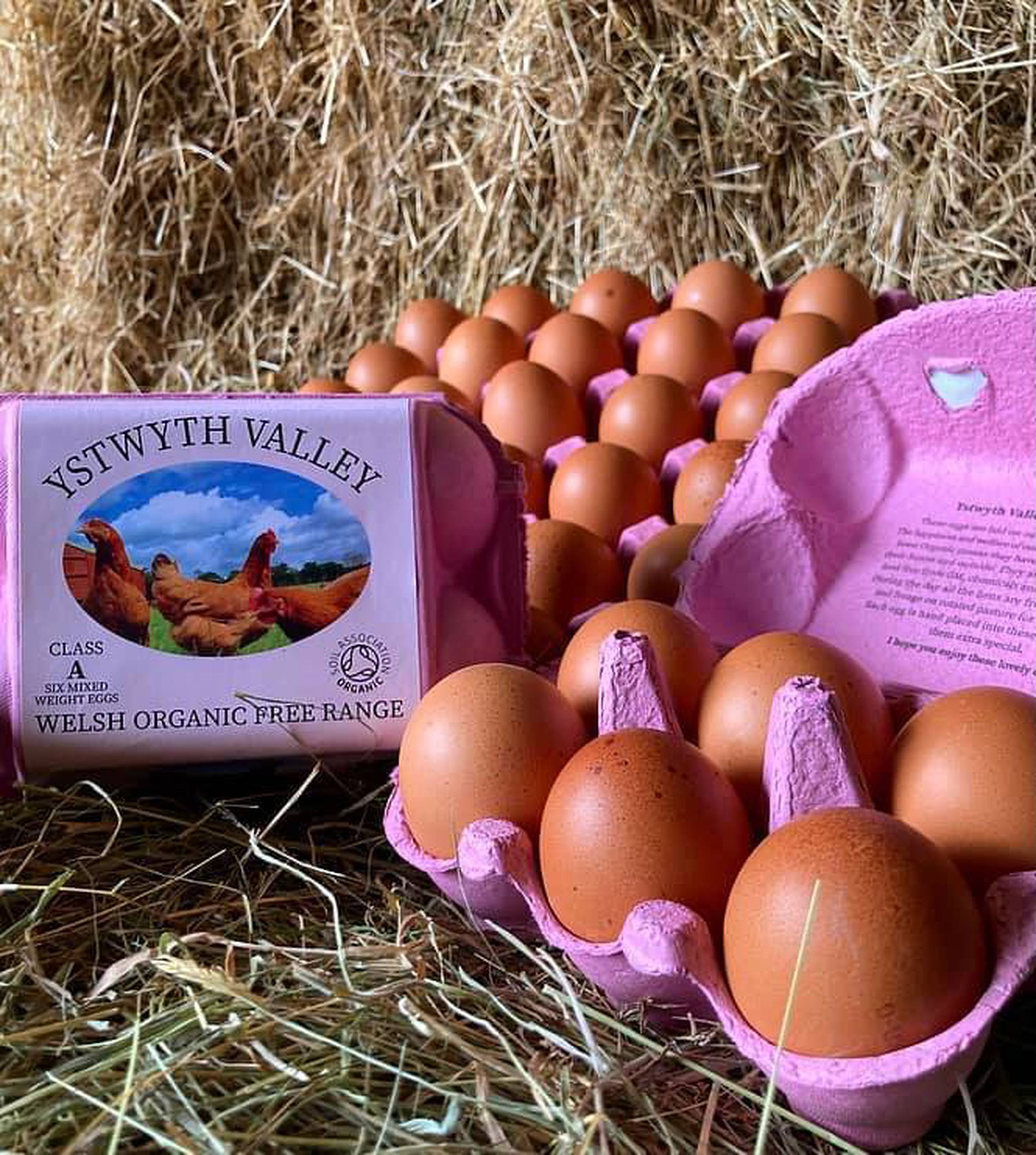 Ystwyth Valley Organic Local Chicken Eggs | C&M Organics - Hebron, Wales