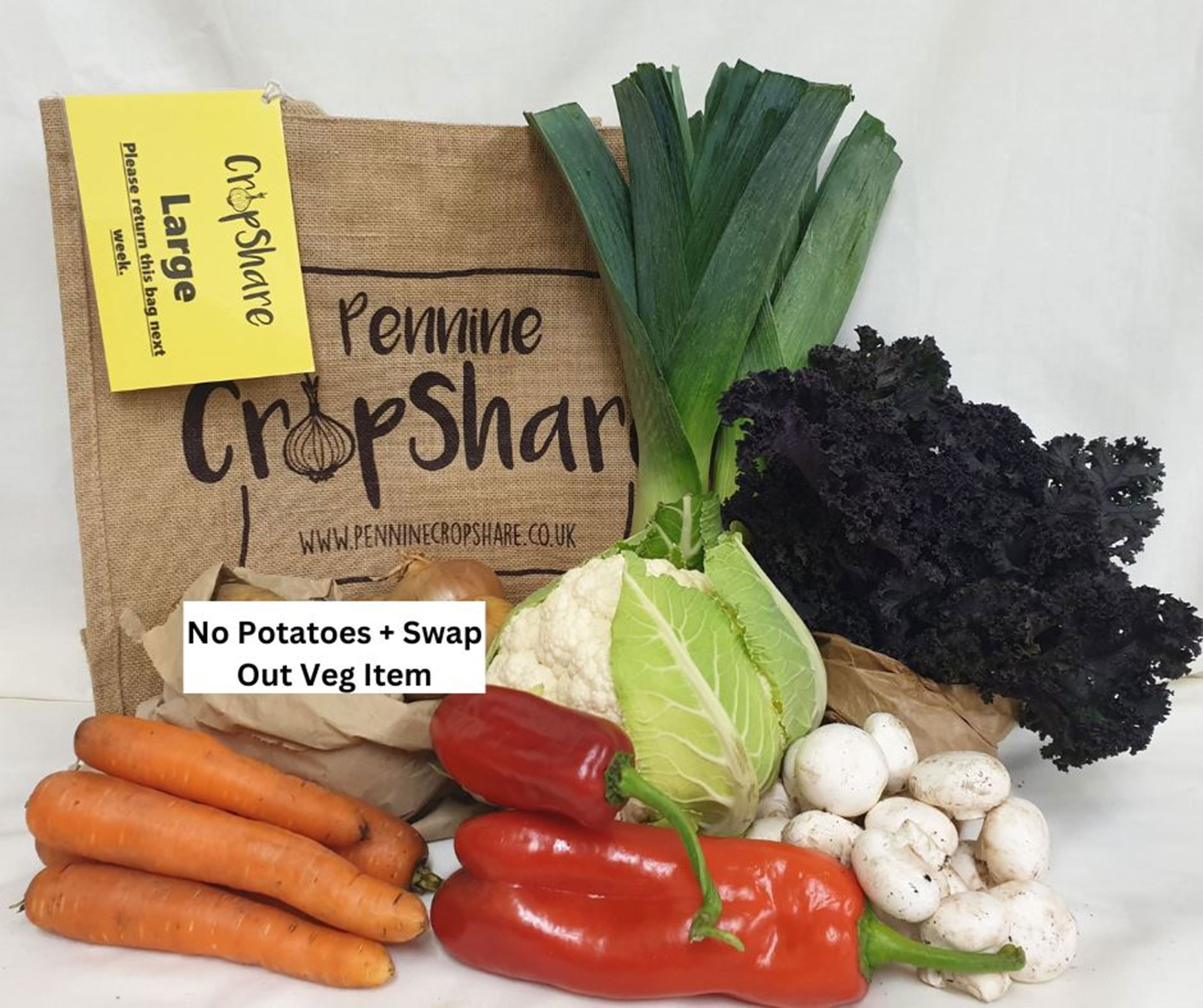 Large Veg Bag - No Spuds | Food Box | Pennine Cropshare