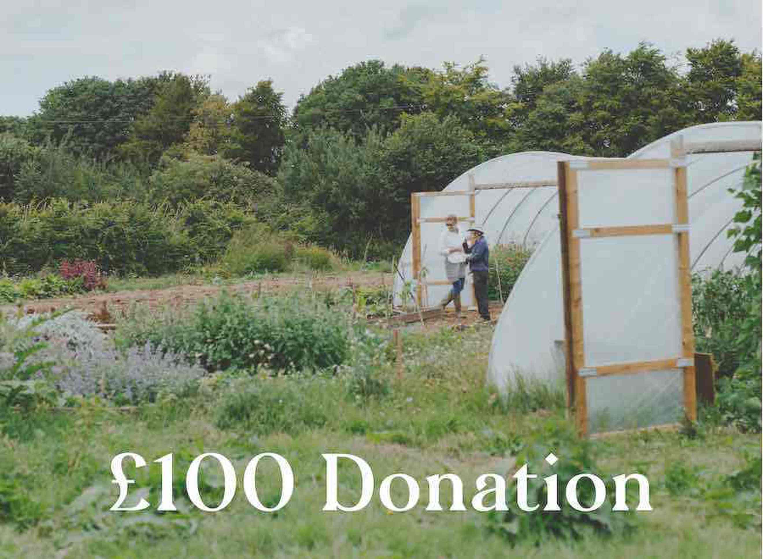£100 Donation | Root Connections - Somerset | Root Connections