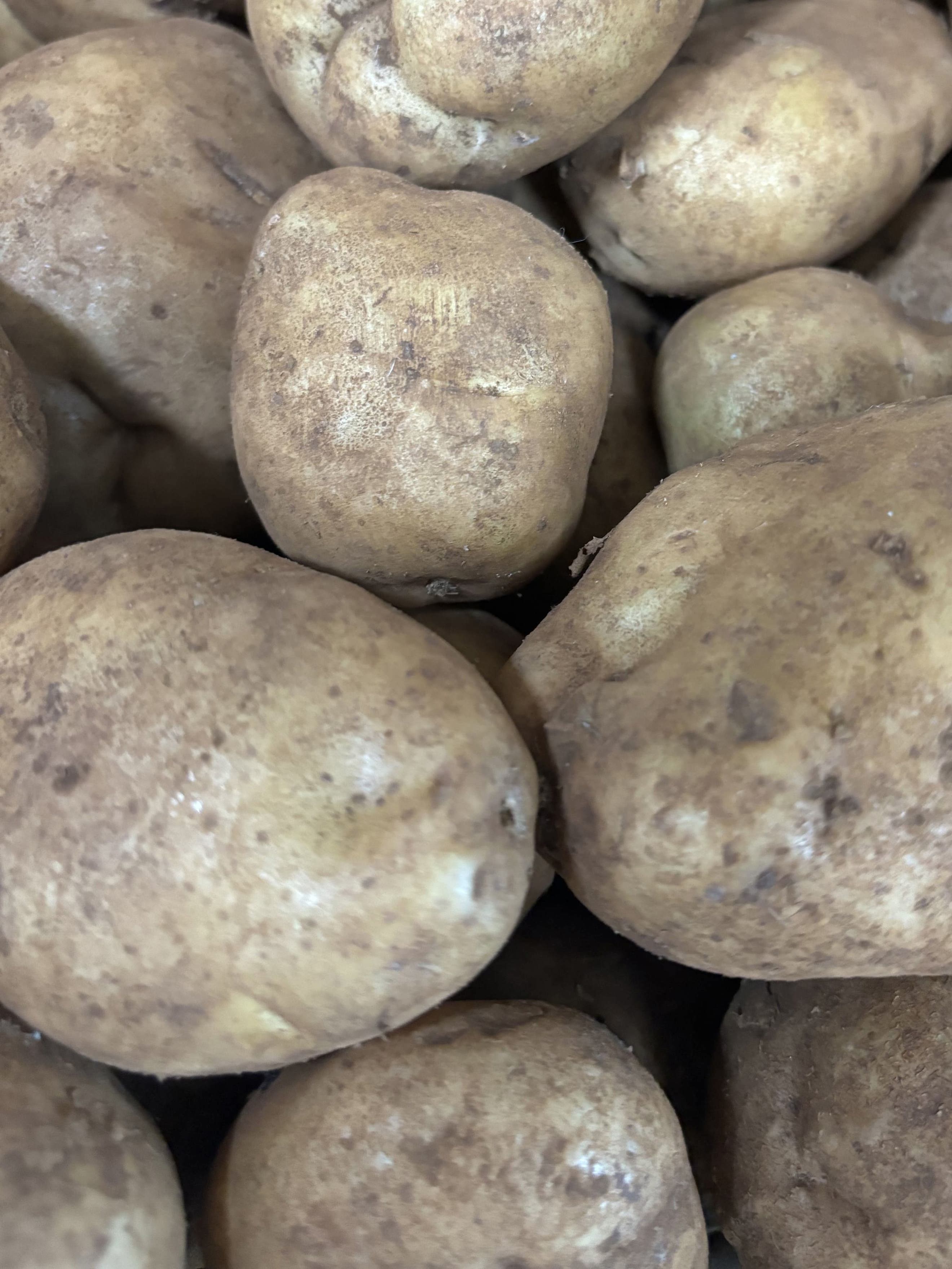 Potato Sebago | Warrah Farm Shop | Warrah Farm Shop