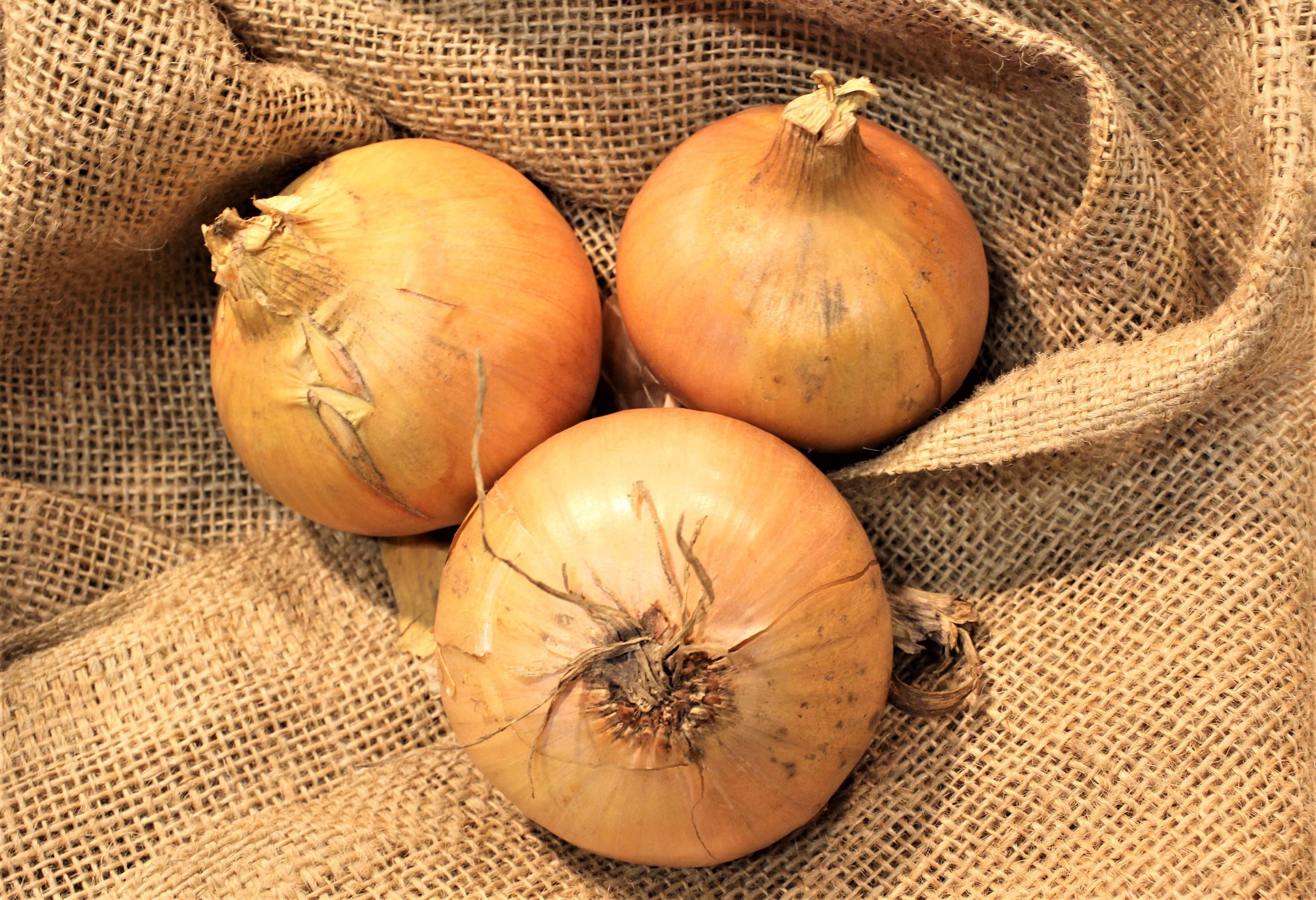 Organic Onions (500g) | Regather - Sheffield
