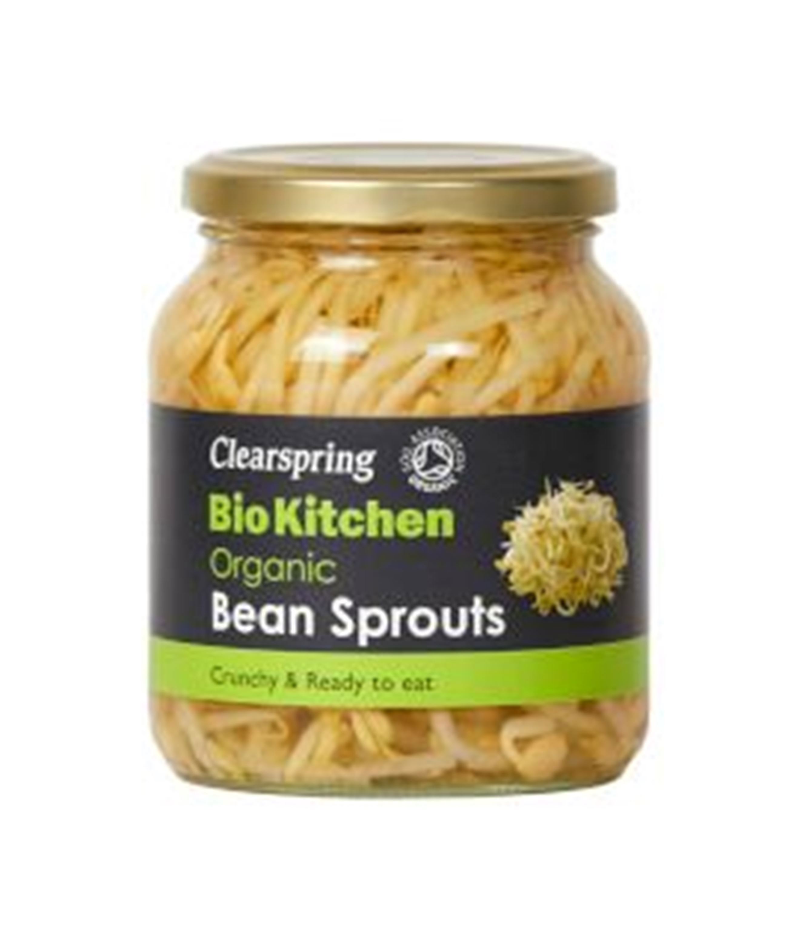 Bio Kitchen Bean Sprouts - Organic | Shillingford Organics - Exeter ...