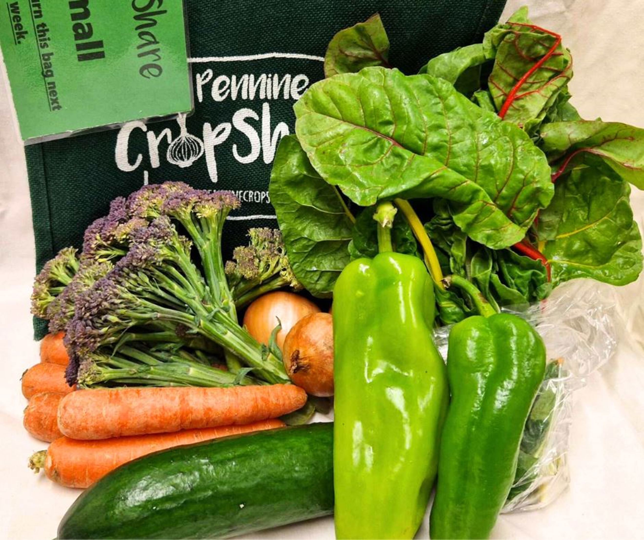 Small Veg Bag - No Spuds | Food Box | Pennine Cropshare