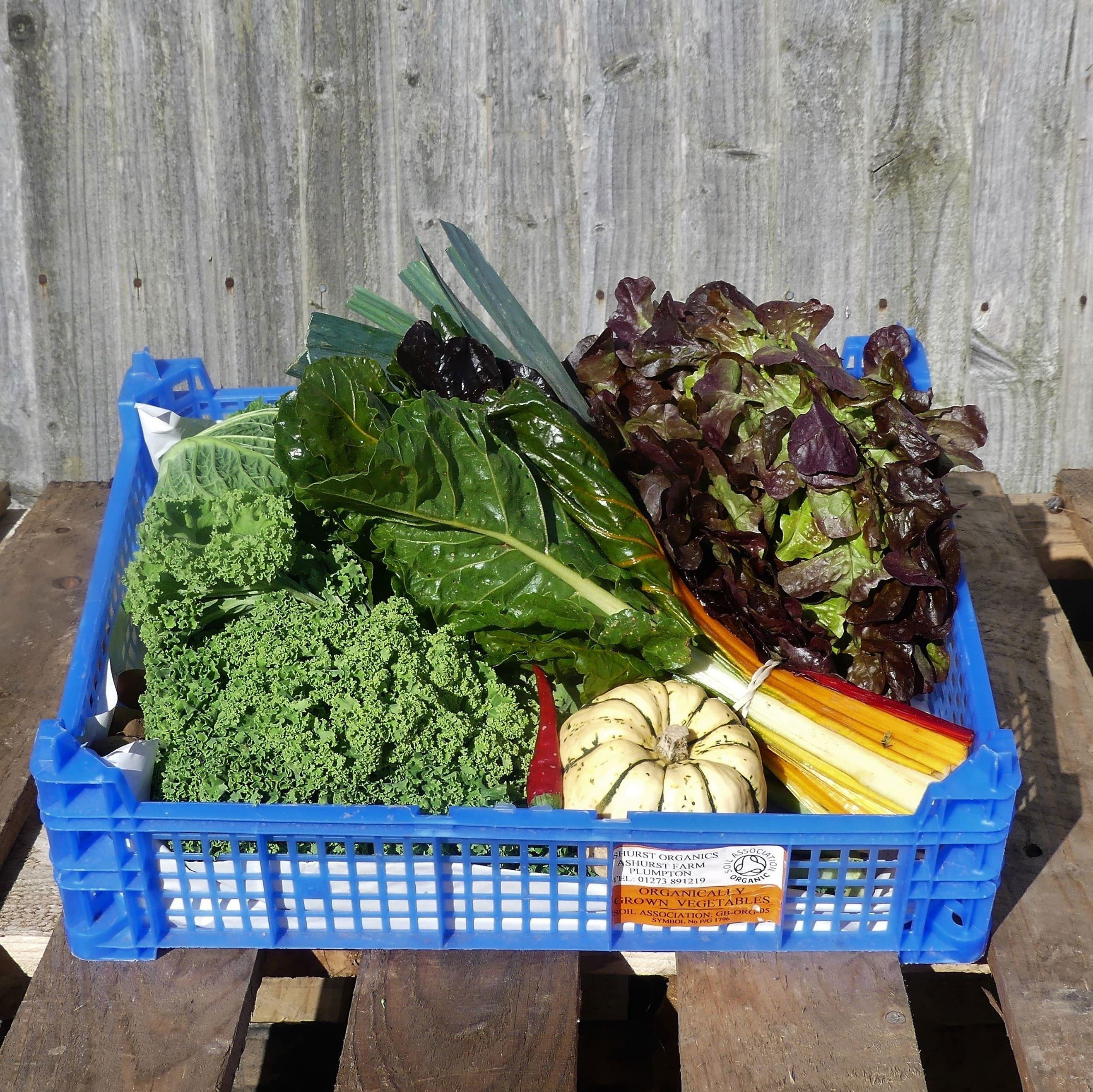 Veg Boxes - No Spuds | Organic Food Box | Ashurst Organics