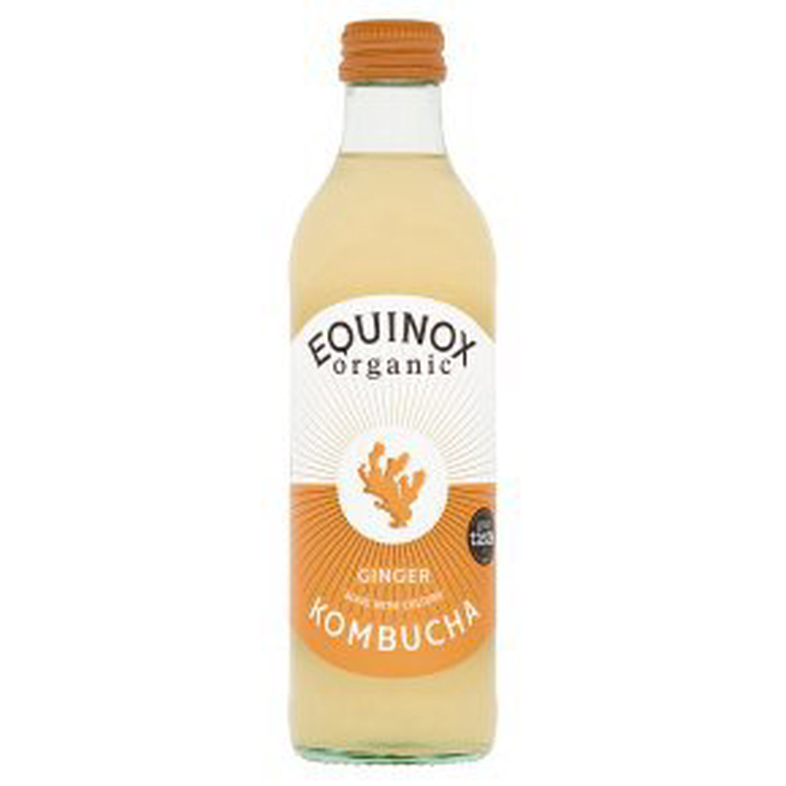 Equinox Kombucha Ginger | Beanies Wholefoods - Sheffield