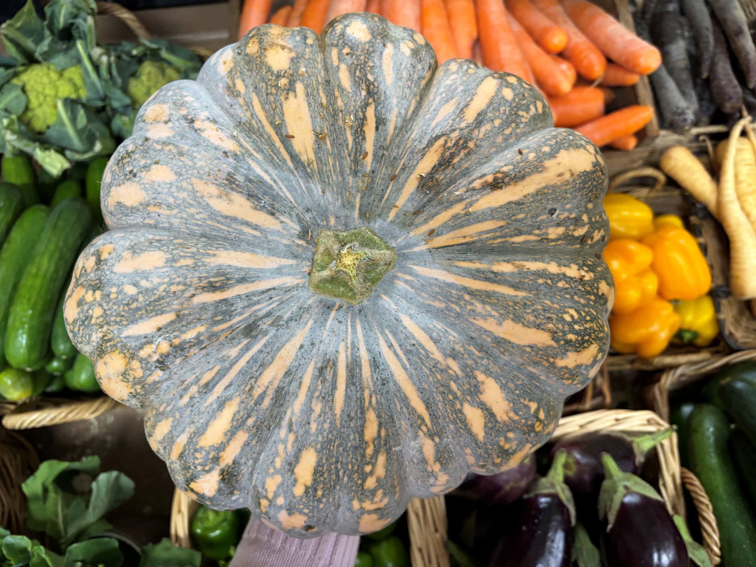 Pumpkin Japanese | Warrah Farm Shop