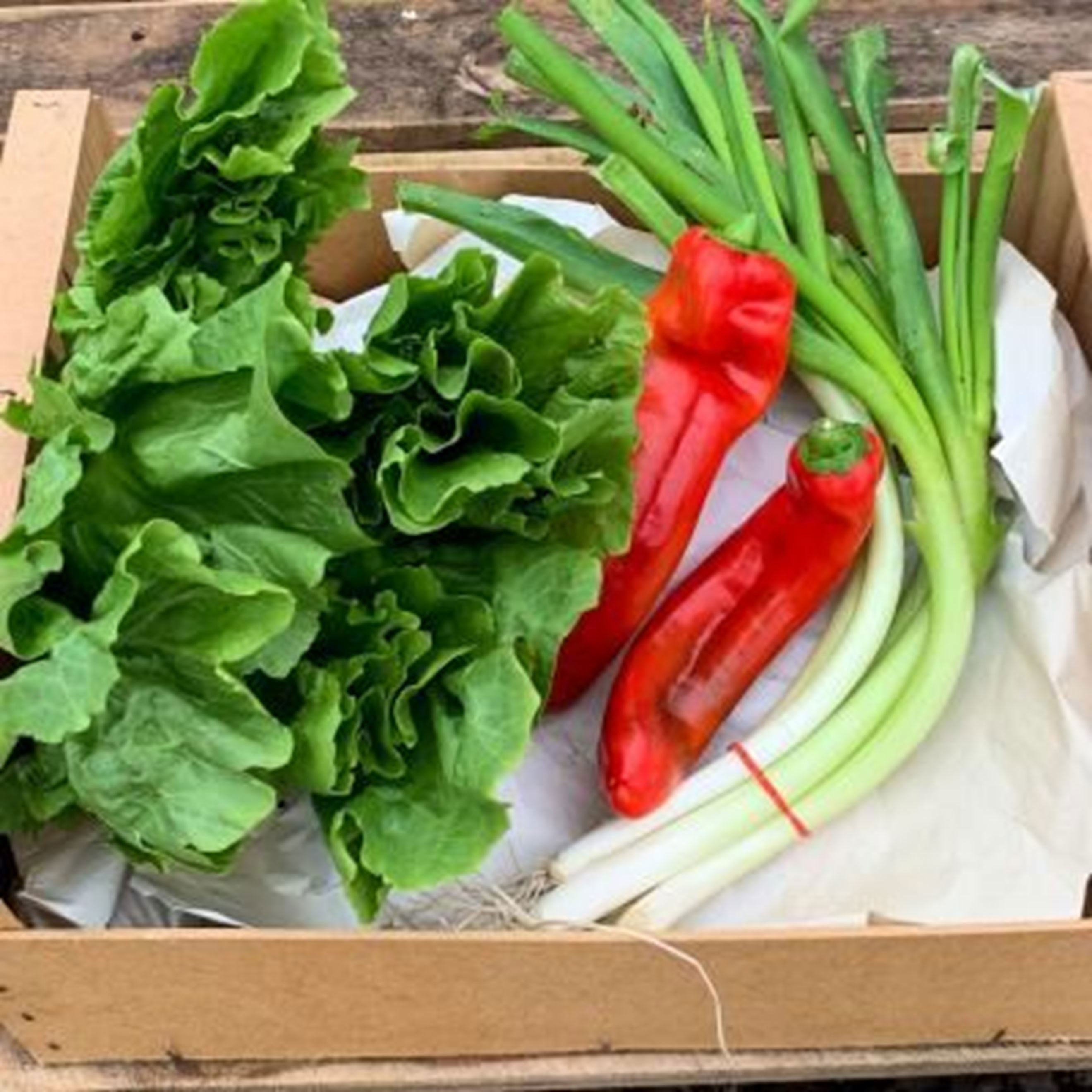 Small Supplementary Veg Bag | Locavore | Locavore