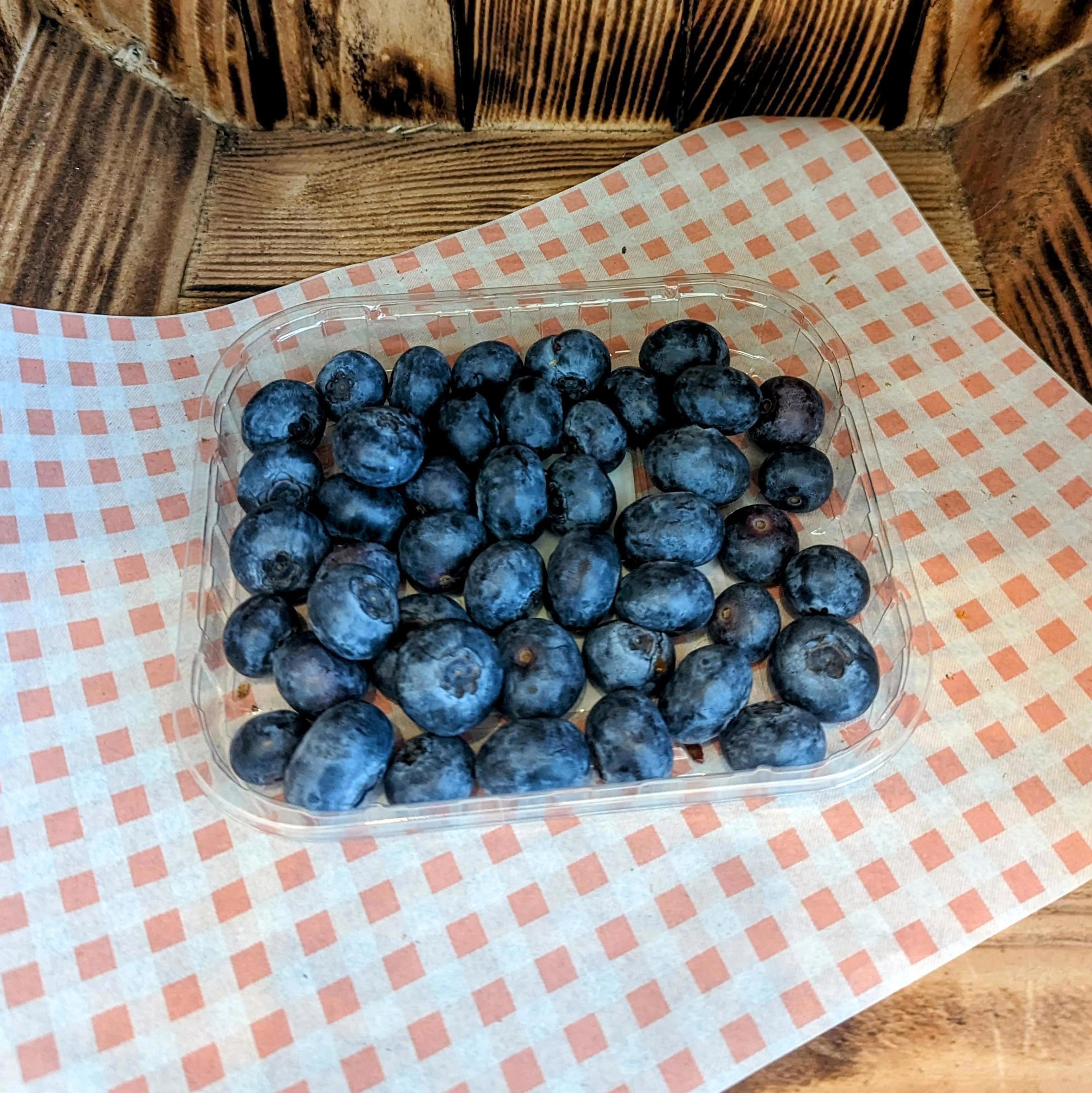 Blueberry Punnet | The Green Shop - Sheffield