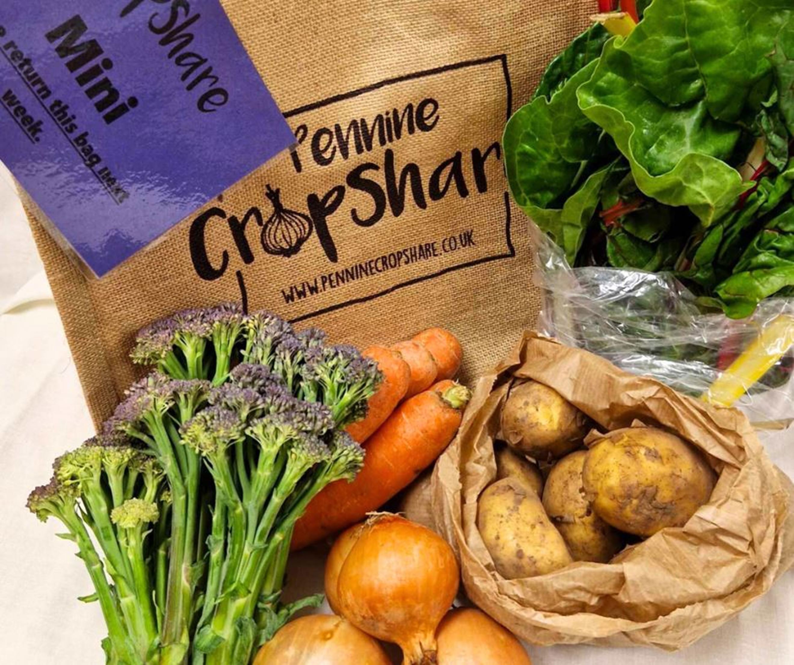 Pennine Cropshare Veg Bags | Food Box | Pennine Cropshare