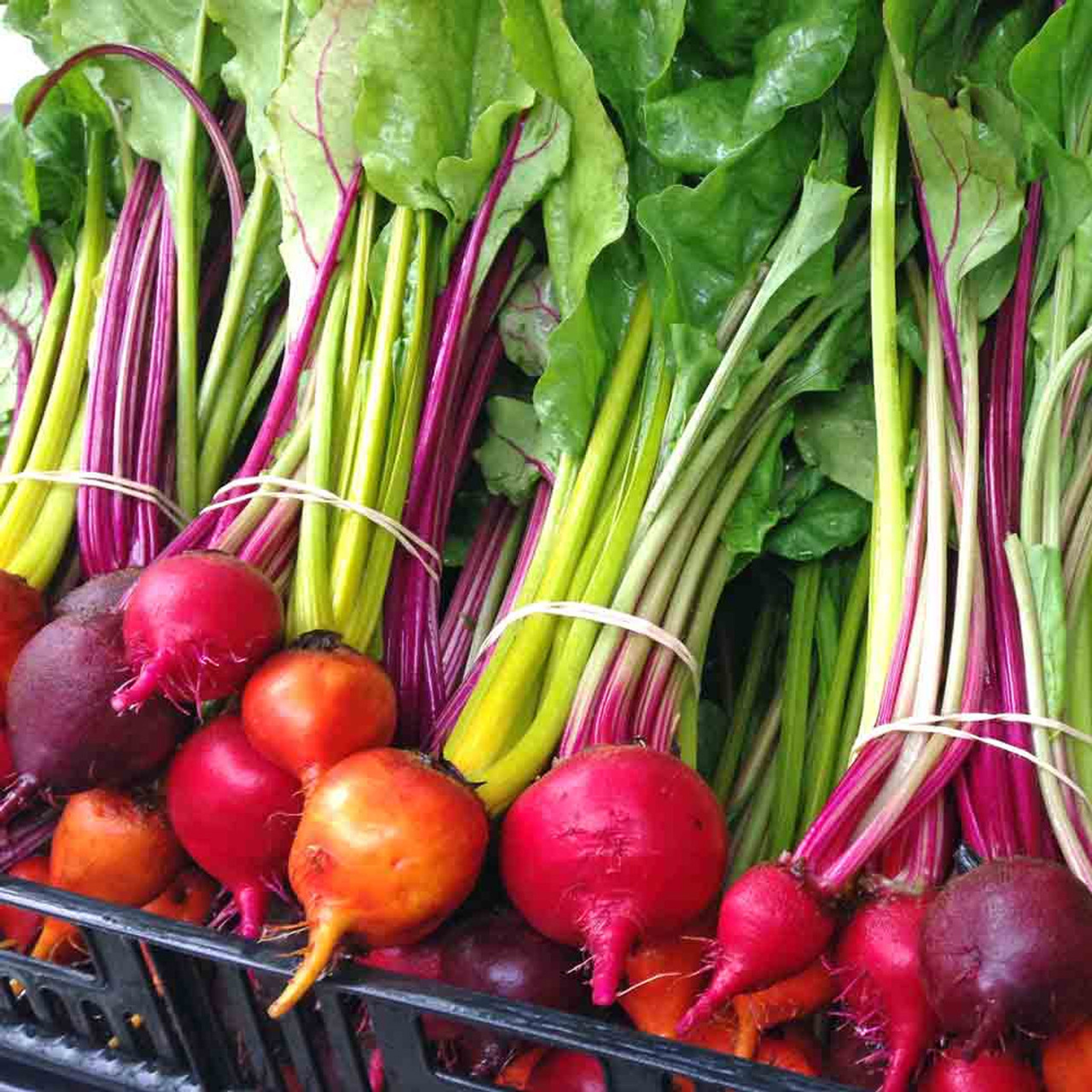Beetroot (Mixed Colours) – Vibrant & Nutrient-Rich | Hampshire Market ...