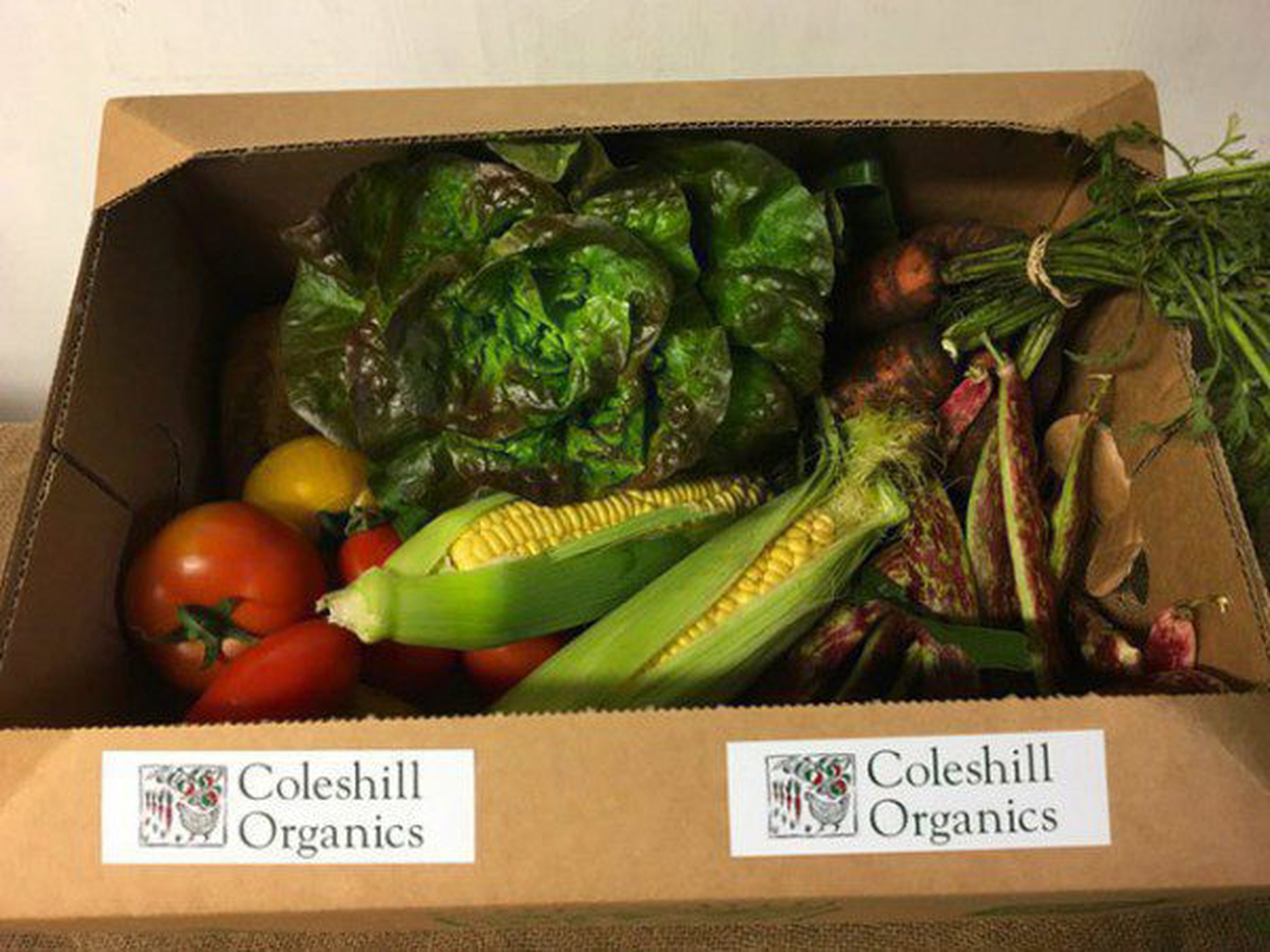 Veg Boxes without Potatoes | Organic Food Box | Coleshill Organics