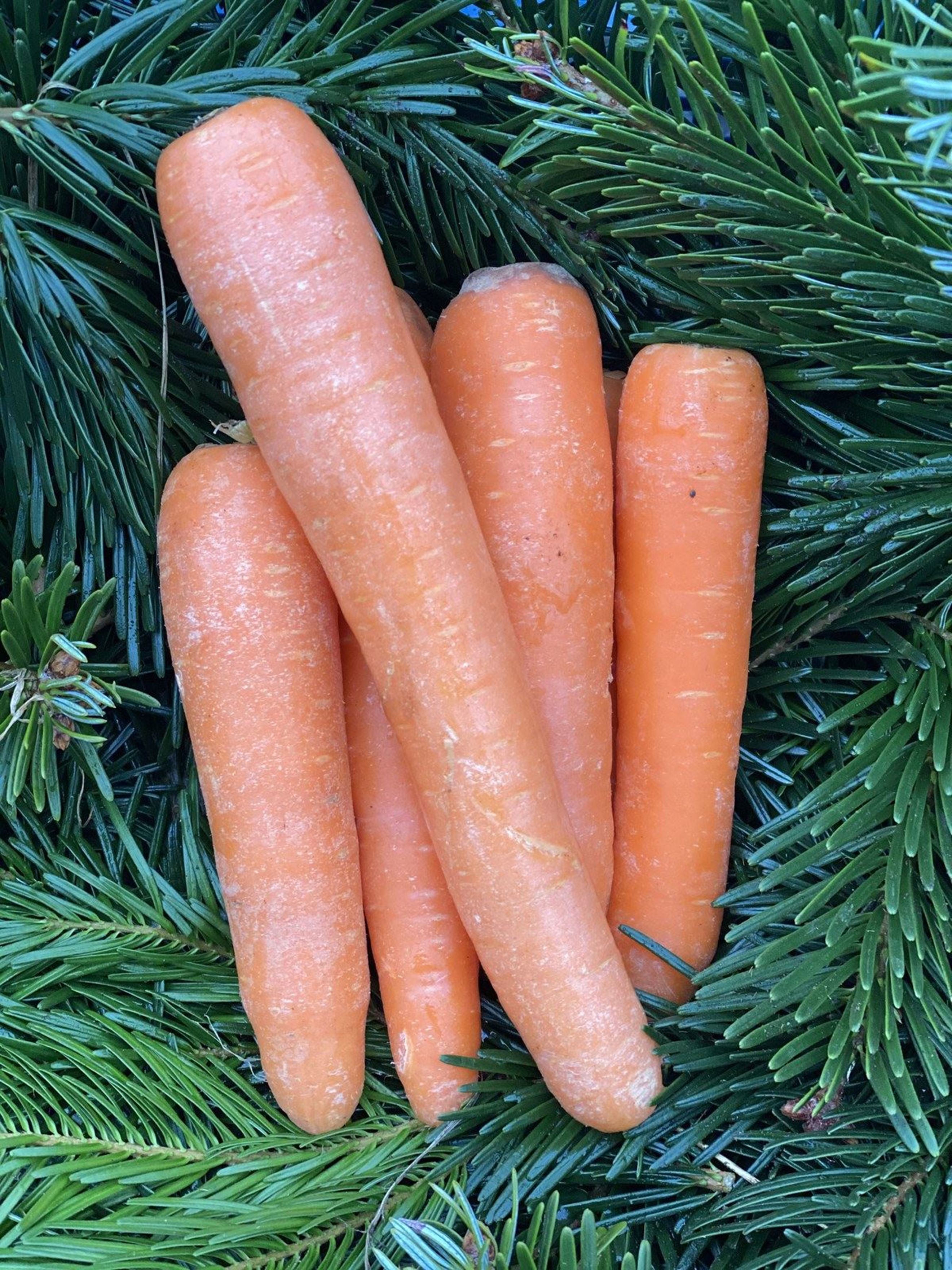Carrots - approx 500g - Organic | Trinity Farm - Nottingham & Derby