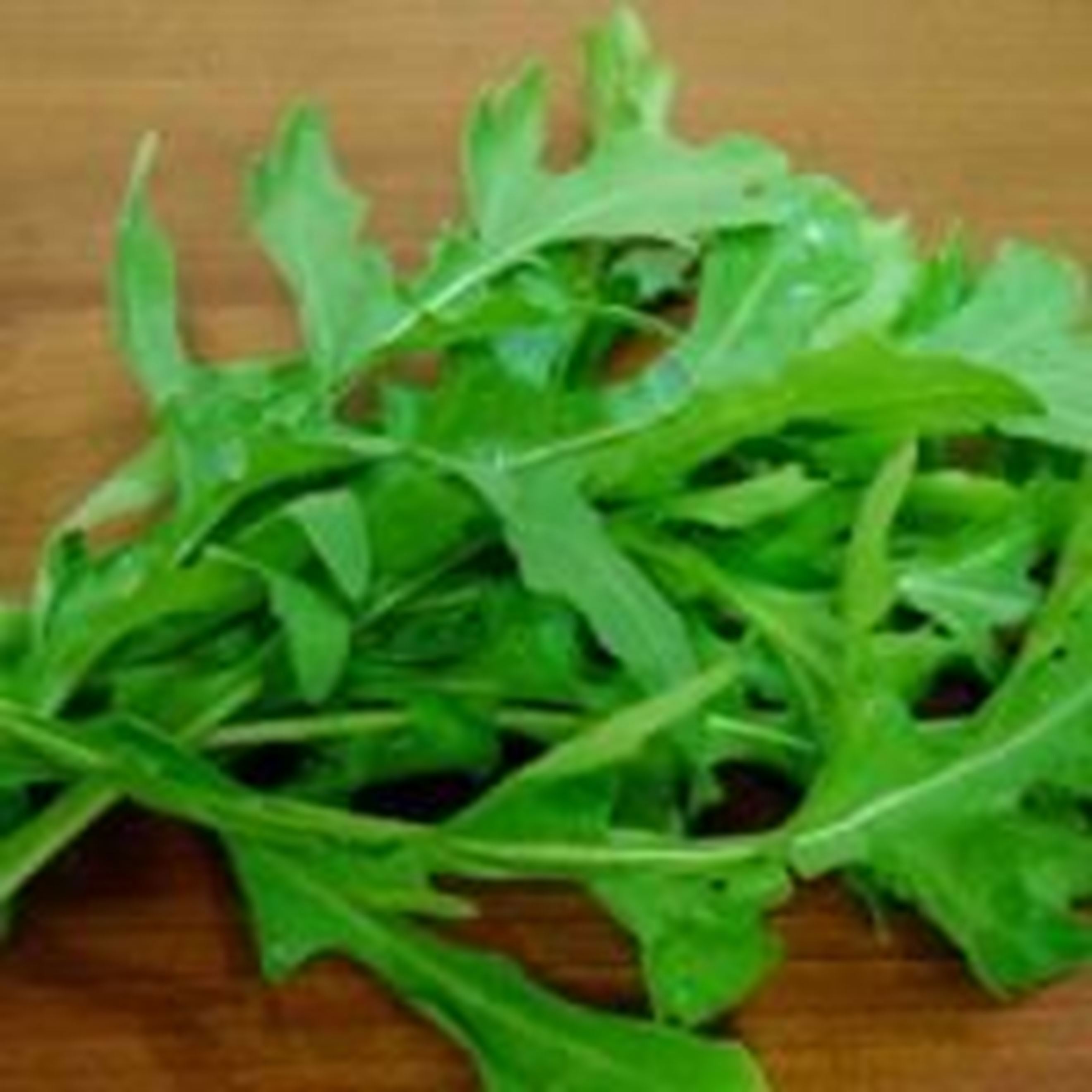 Rocket - Salad Organic | Shillingford Organics - Exeter