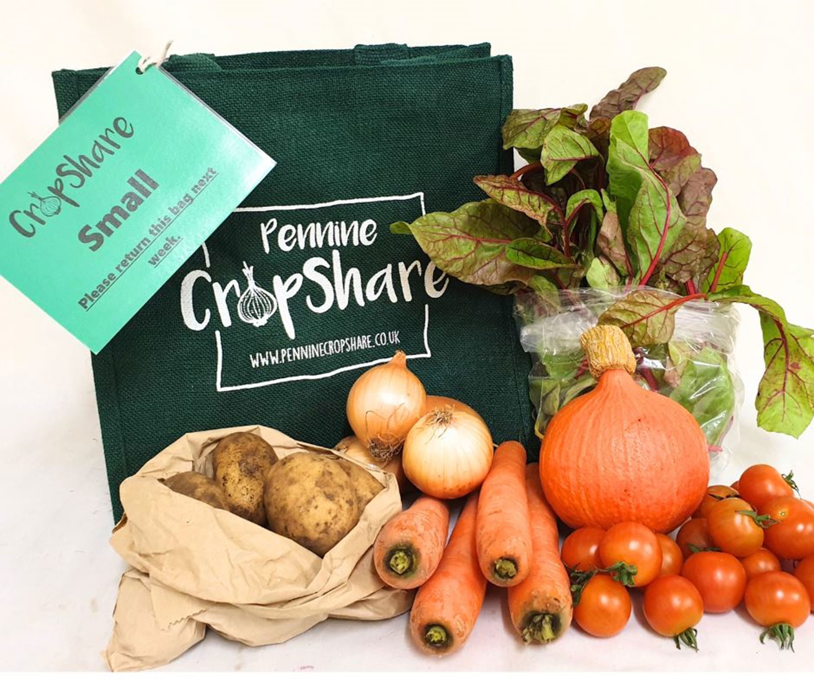 Small Veg Bag | Food Box | Pennine Cropshare