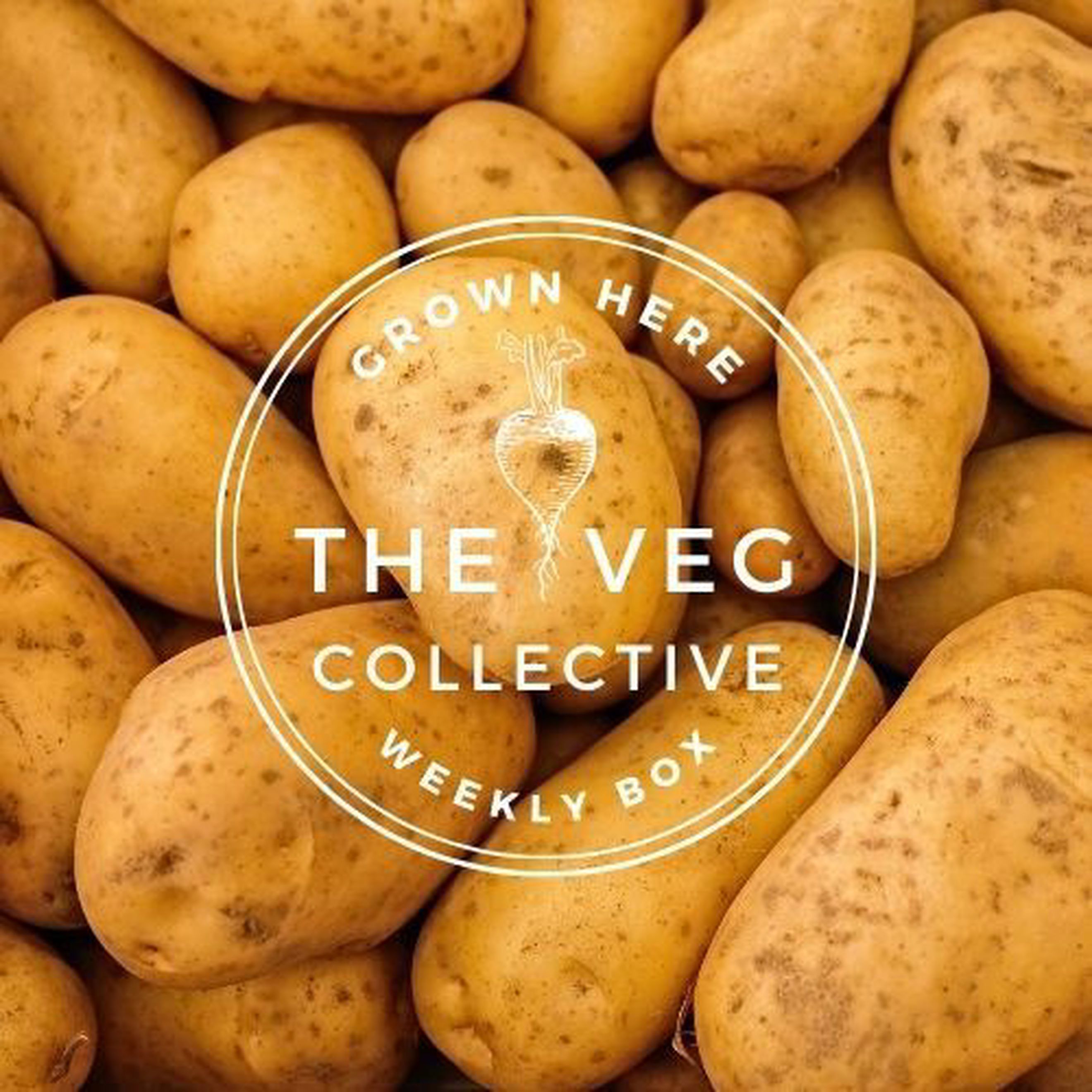 Staples Box | The Veg Collective - Northern Ireland