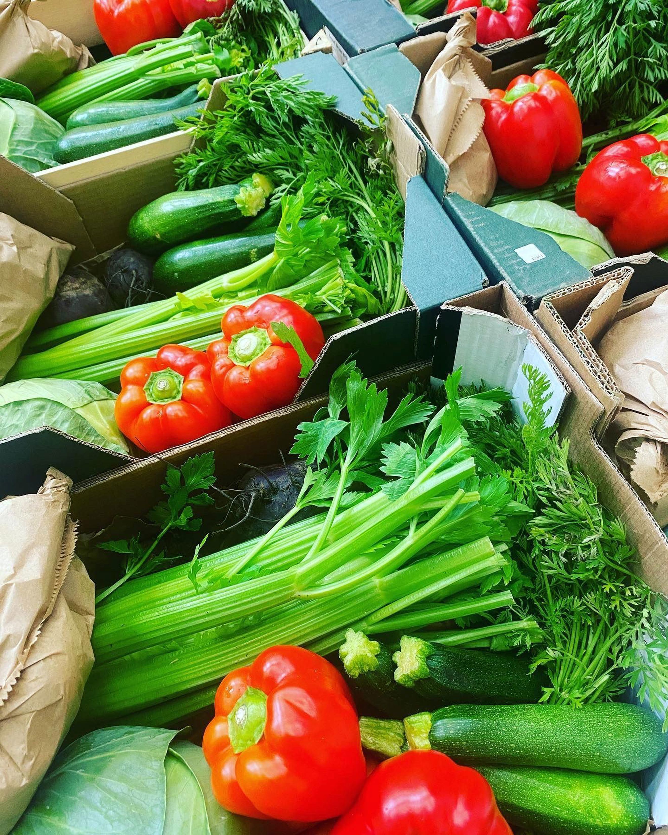 DOUG | Organic Food Box | Foodlife Organic