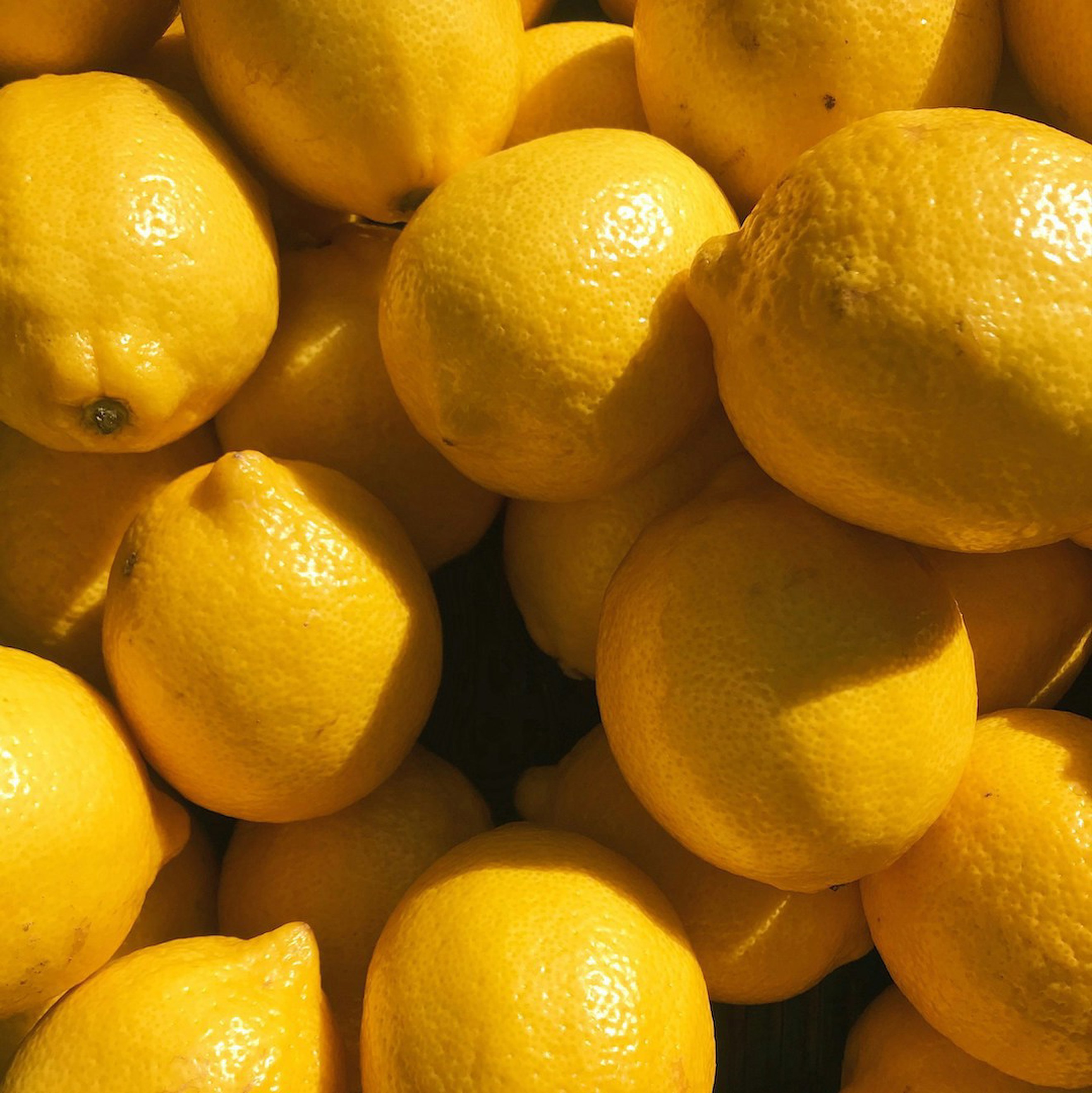 Spanish Lemons | Pennine Cropshare - Pennines