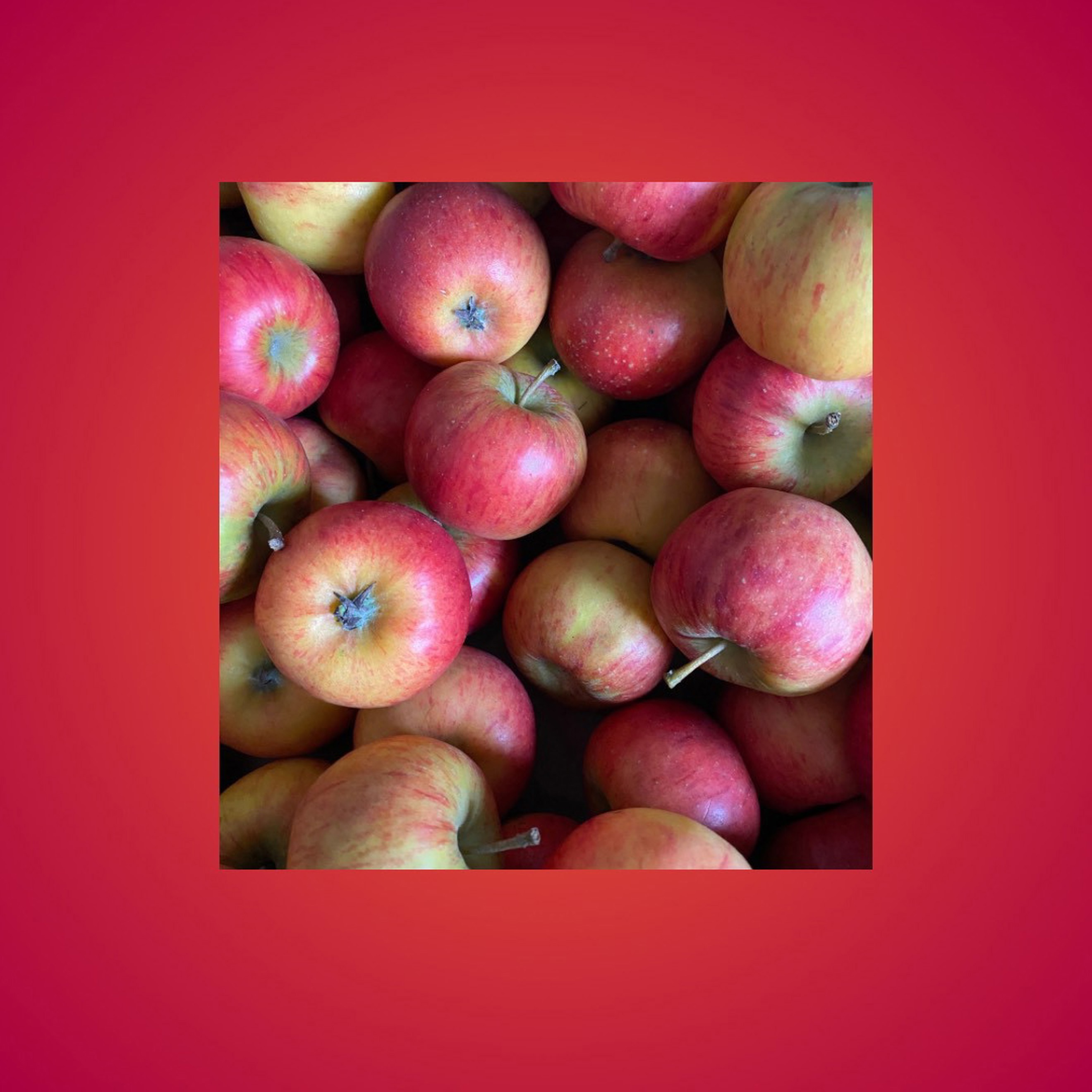Apples (Red) | Kinkell Farm - Glasgow