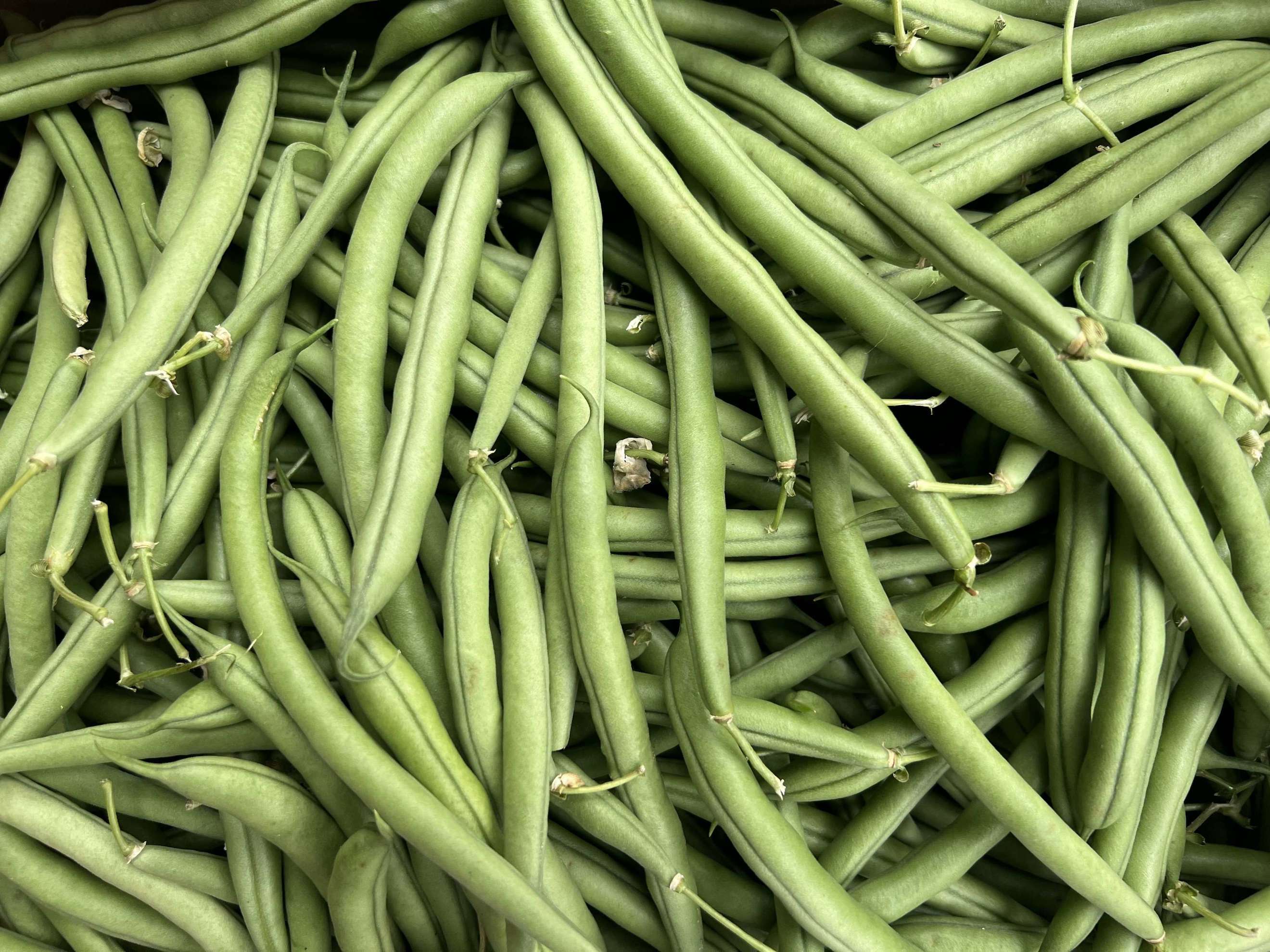 French Beans Packet | The Green Shop - Sheffield | The Green Shop