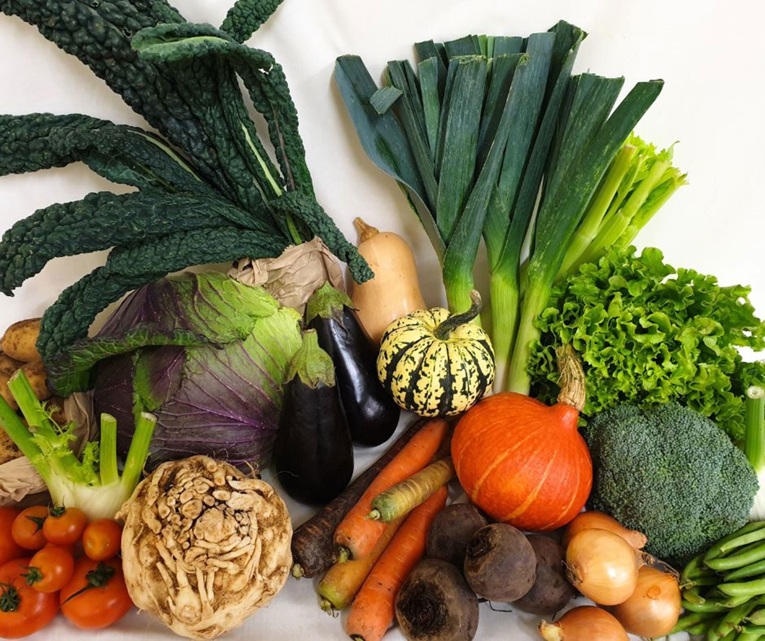 Bumper Veg Bag - No Spuds | Food Box | Pennine Cropshare