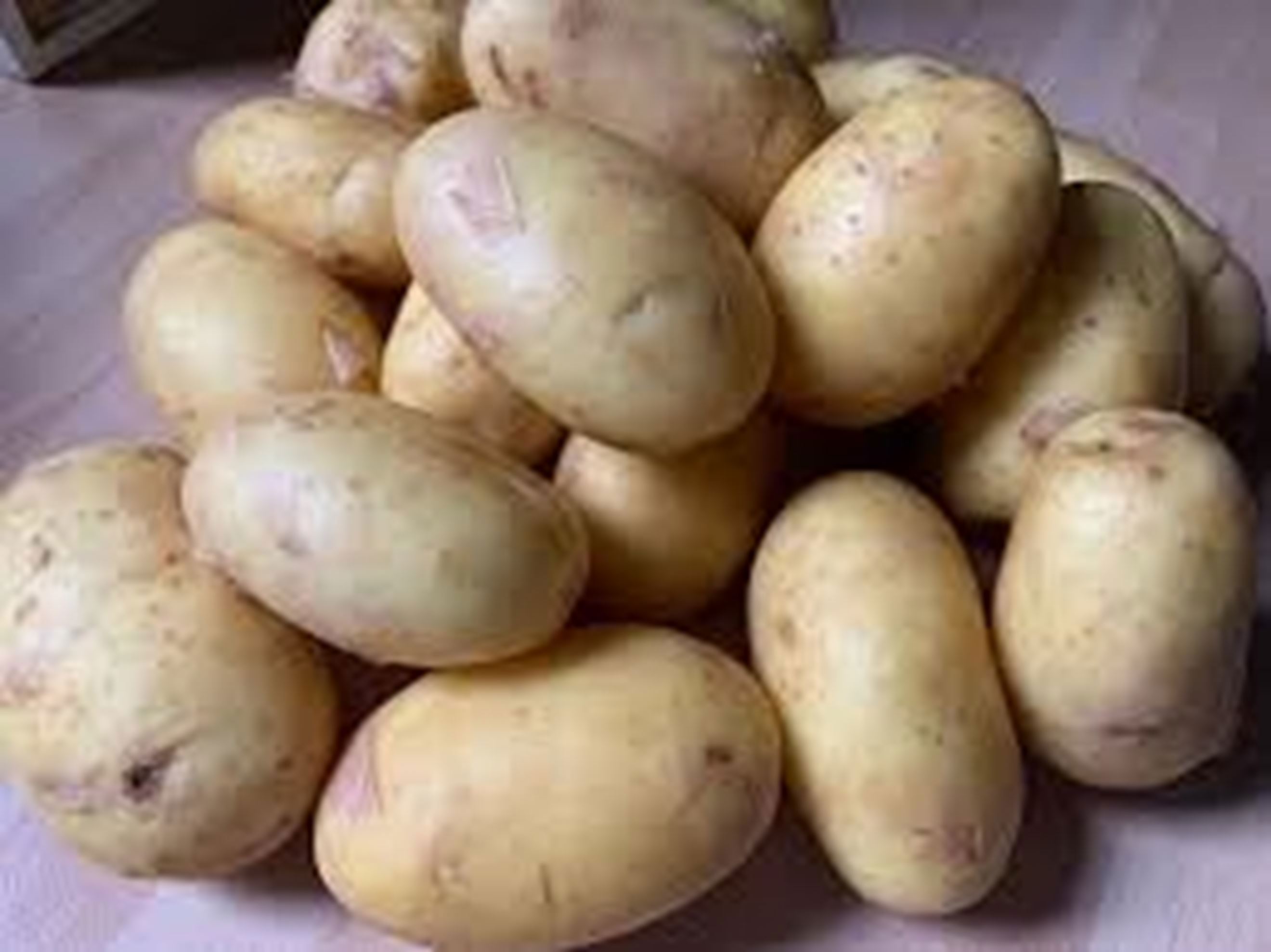 Potatoes White- Washed (1kg) | East Kent Growers | East Kent Growers