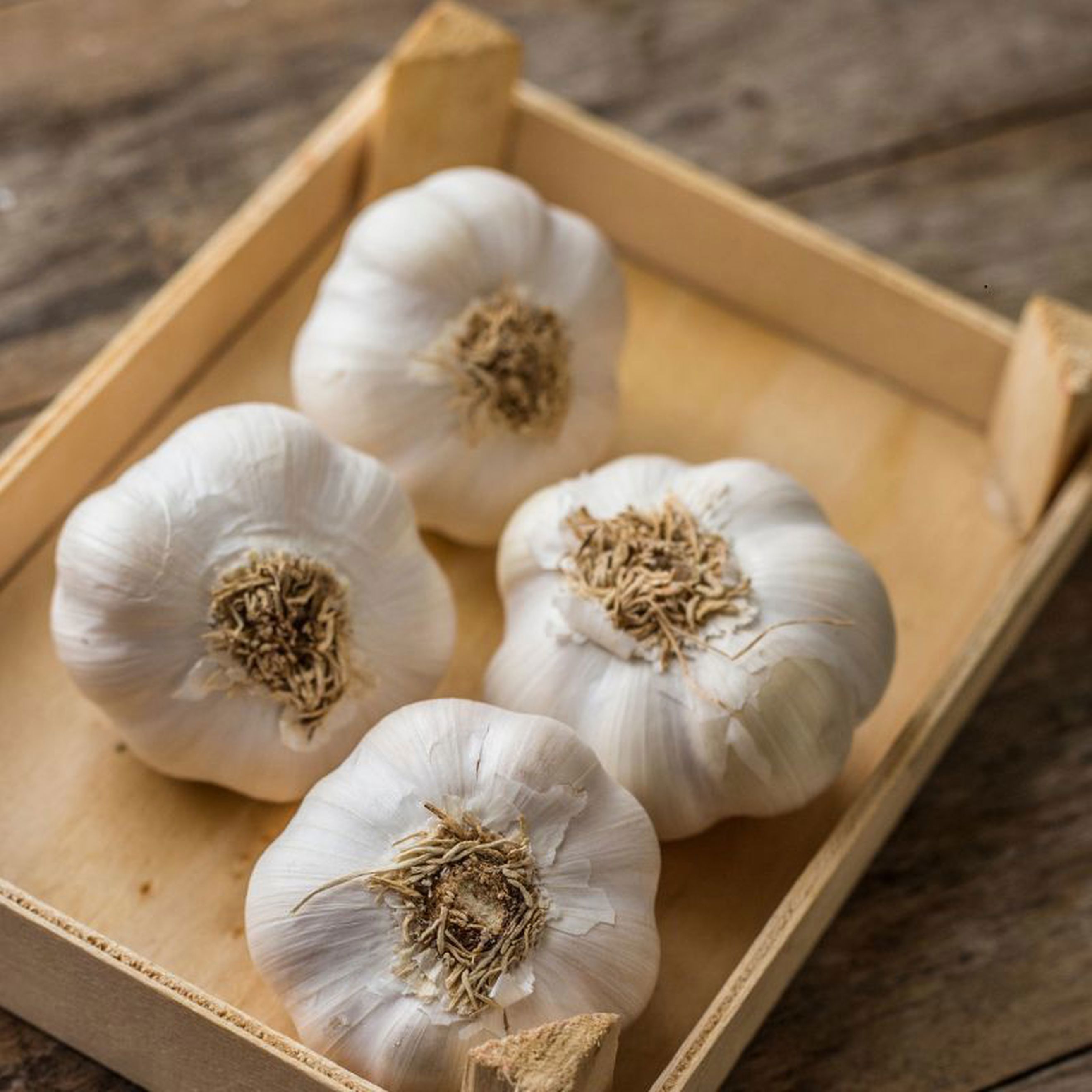 Garlic Bulb – Bold, Aromatic & Naturally Grown | Hampshire Market Garden
