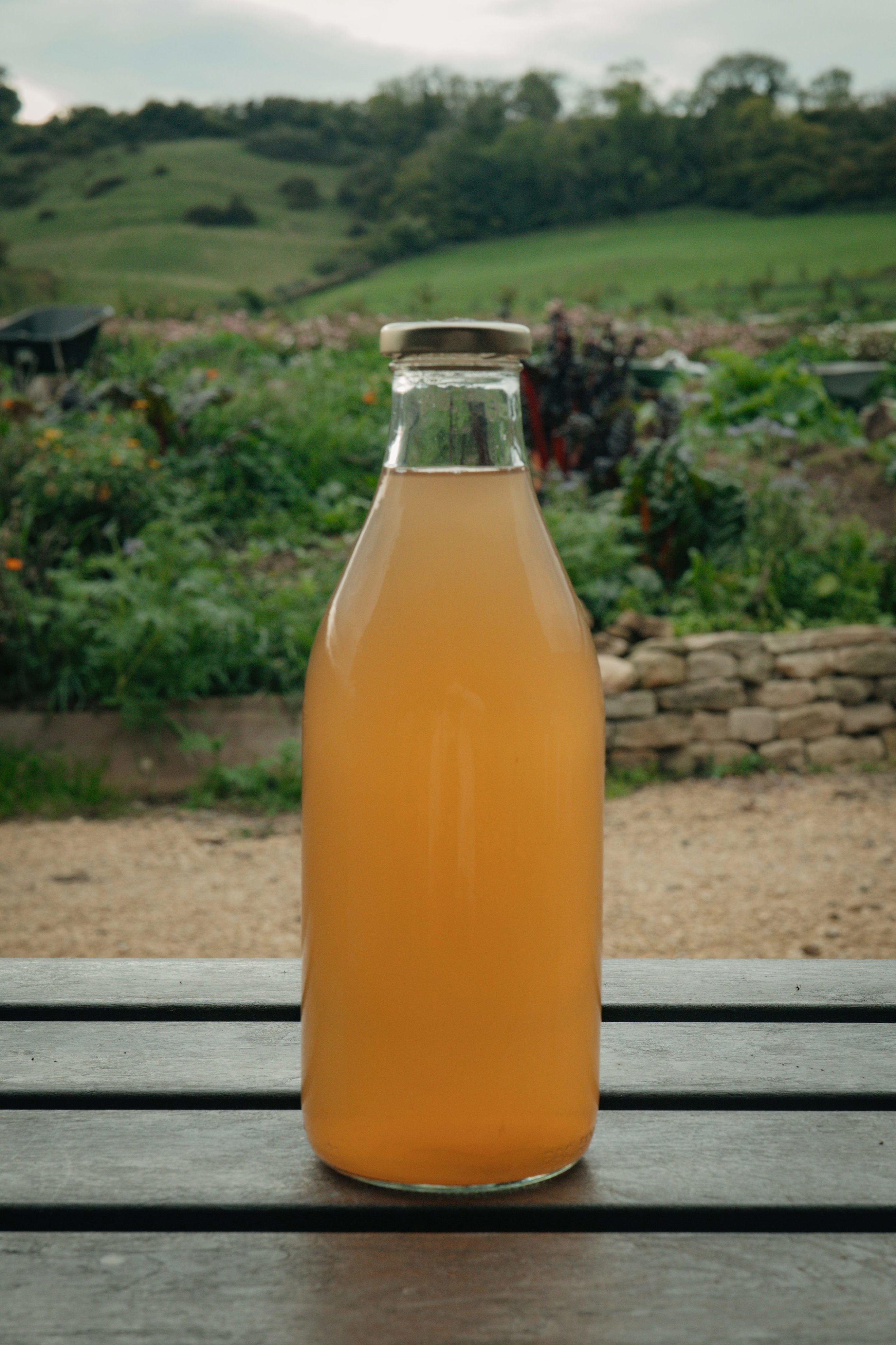 Organic Apple Juice - Blend (1L) | Middle Ground Growers - Bath ...