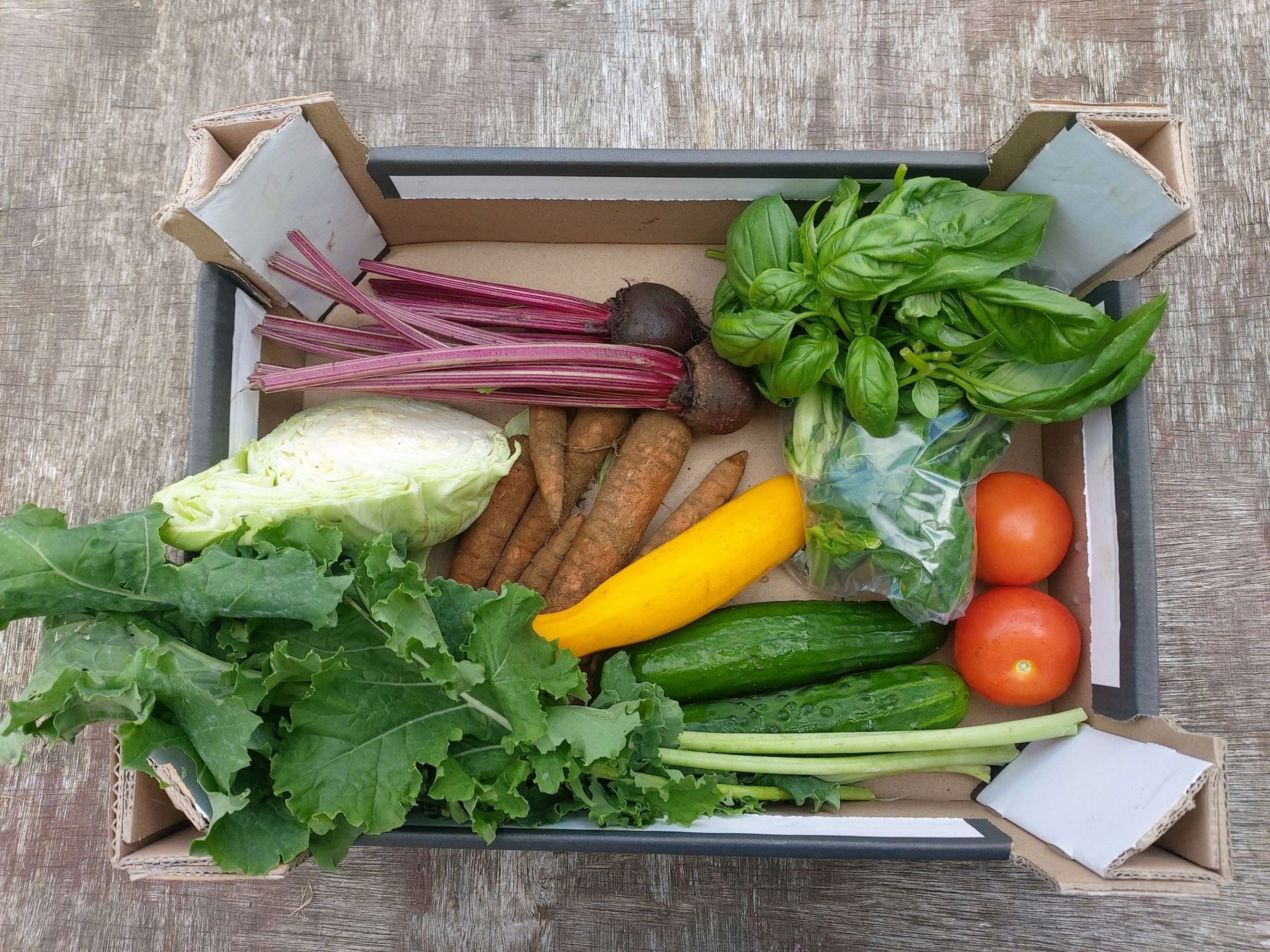 Small Veg Box | Food Box | Meanwood Valley Urban Farm