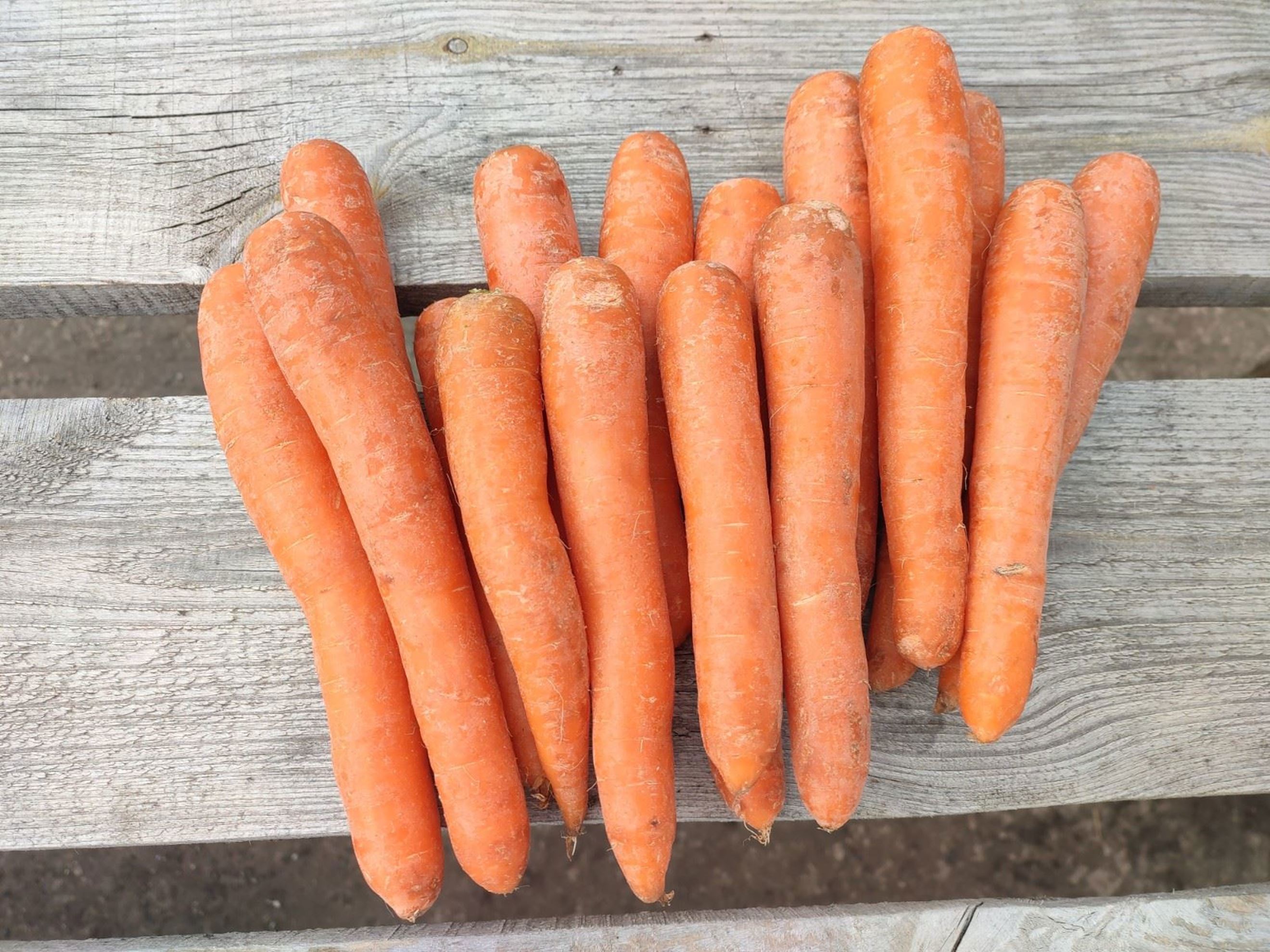 Carrots - Washed (Peterborough, UK) | Growing with Grace - South ...