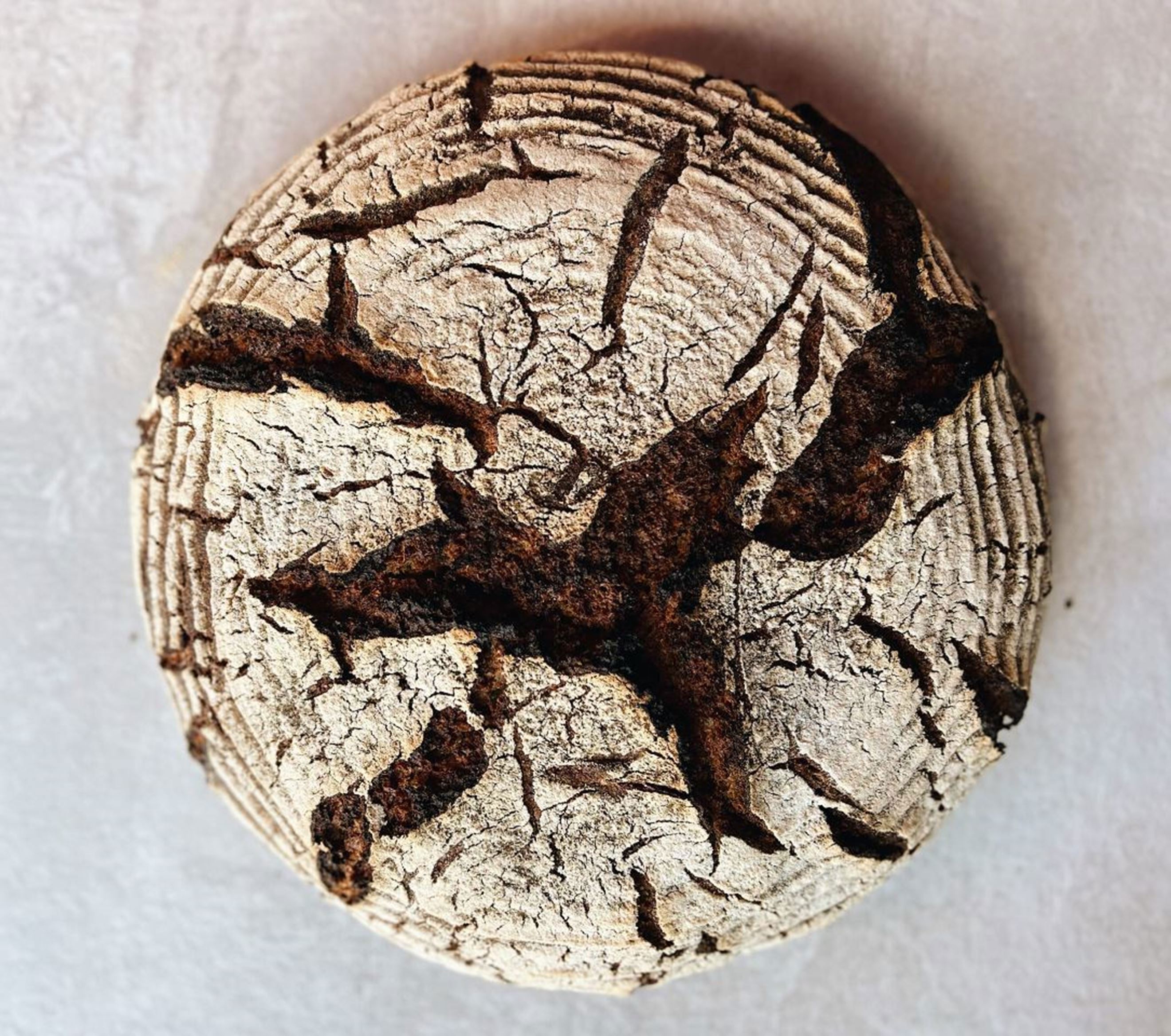 (Bread) Northumberland Rye (Quarter Loaf) | Growing with Grace - South ...