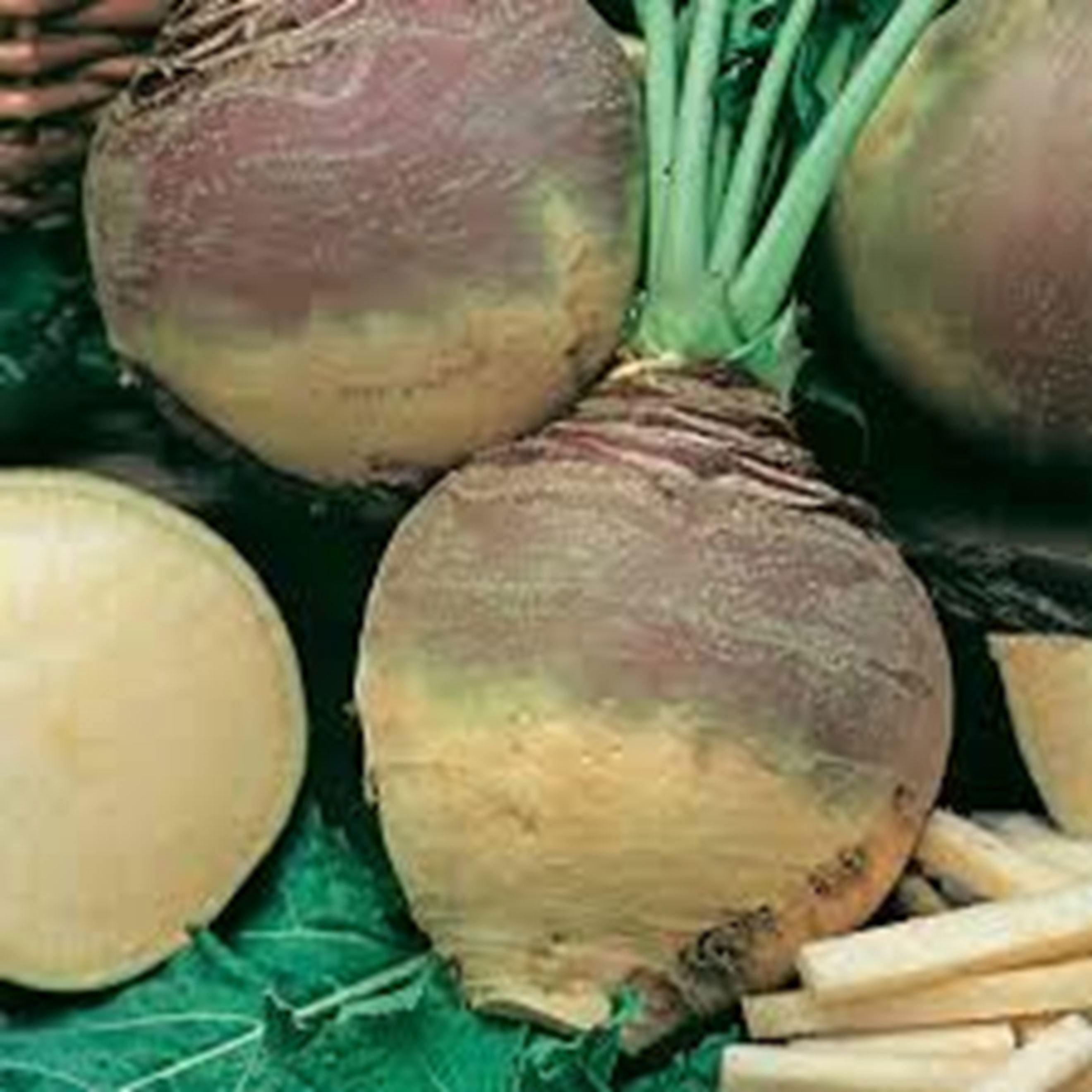 Naturally Grown Swede – Sweet, Earthy & Winter‑Root Vegetable ...