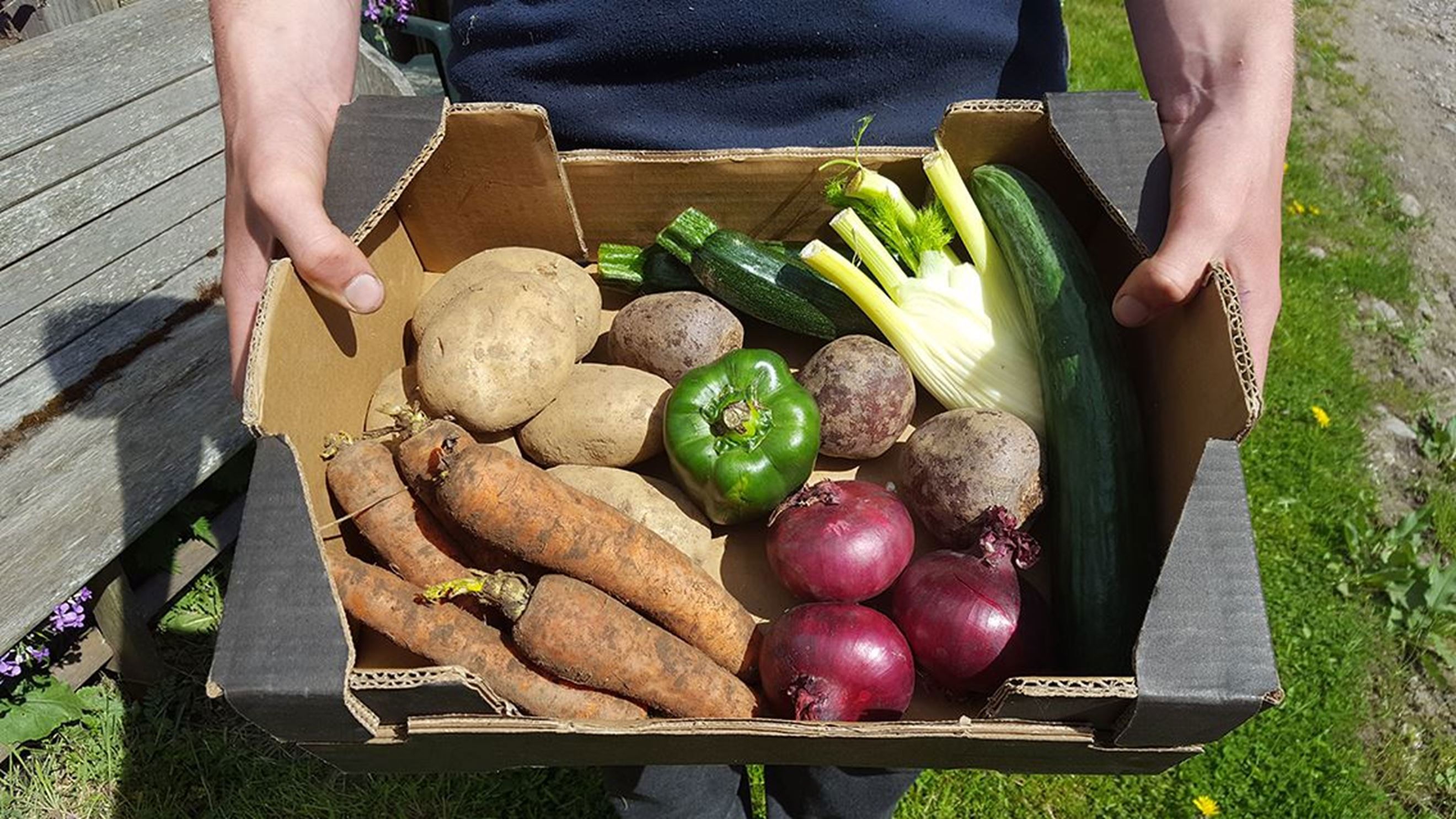 Organic Veg Boxes | Organic Food Box | Bridgefoot Organic